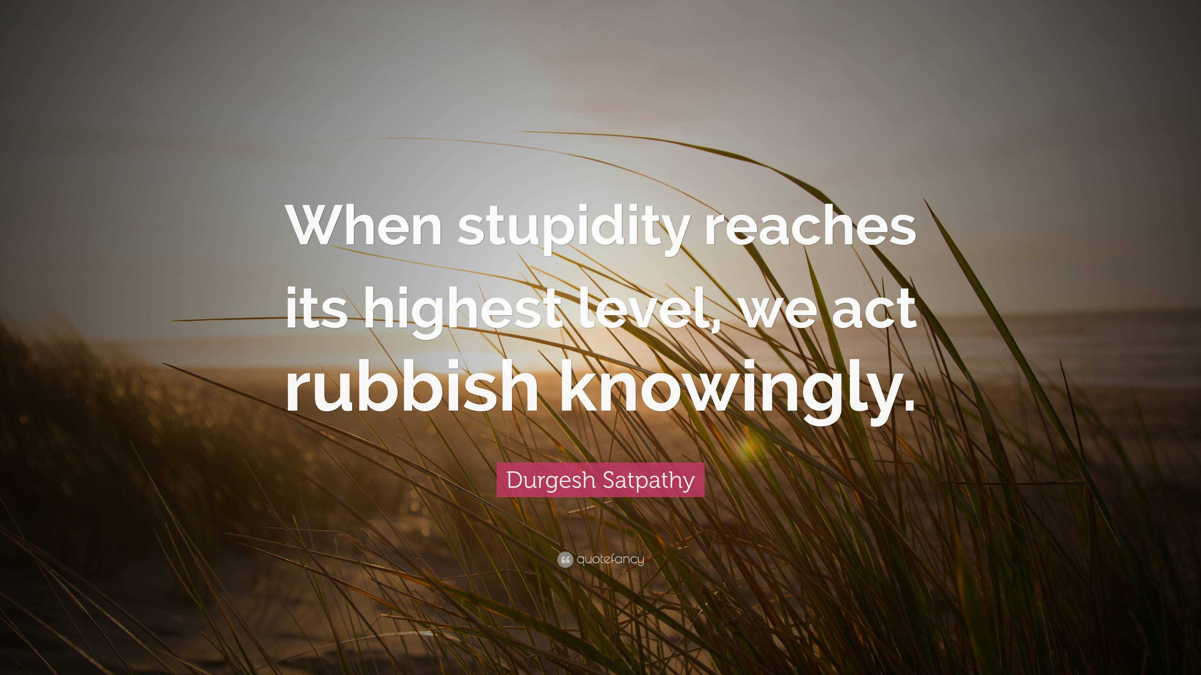 Durgesh Satpathy Quote: “When stupidity reaches its highest level, we ...