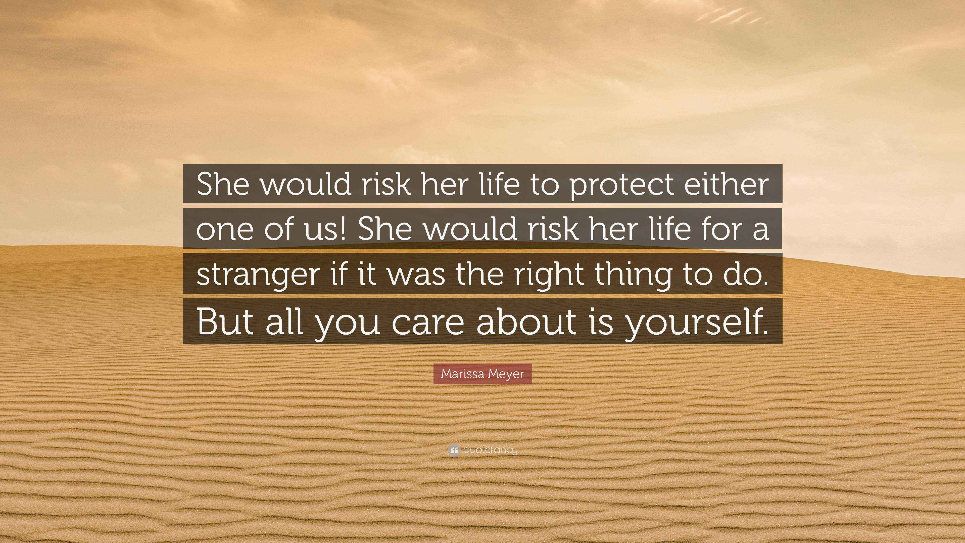 Marissa Meyer Quote: “She would risk her life to protect either one of ...
