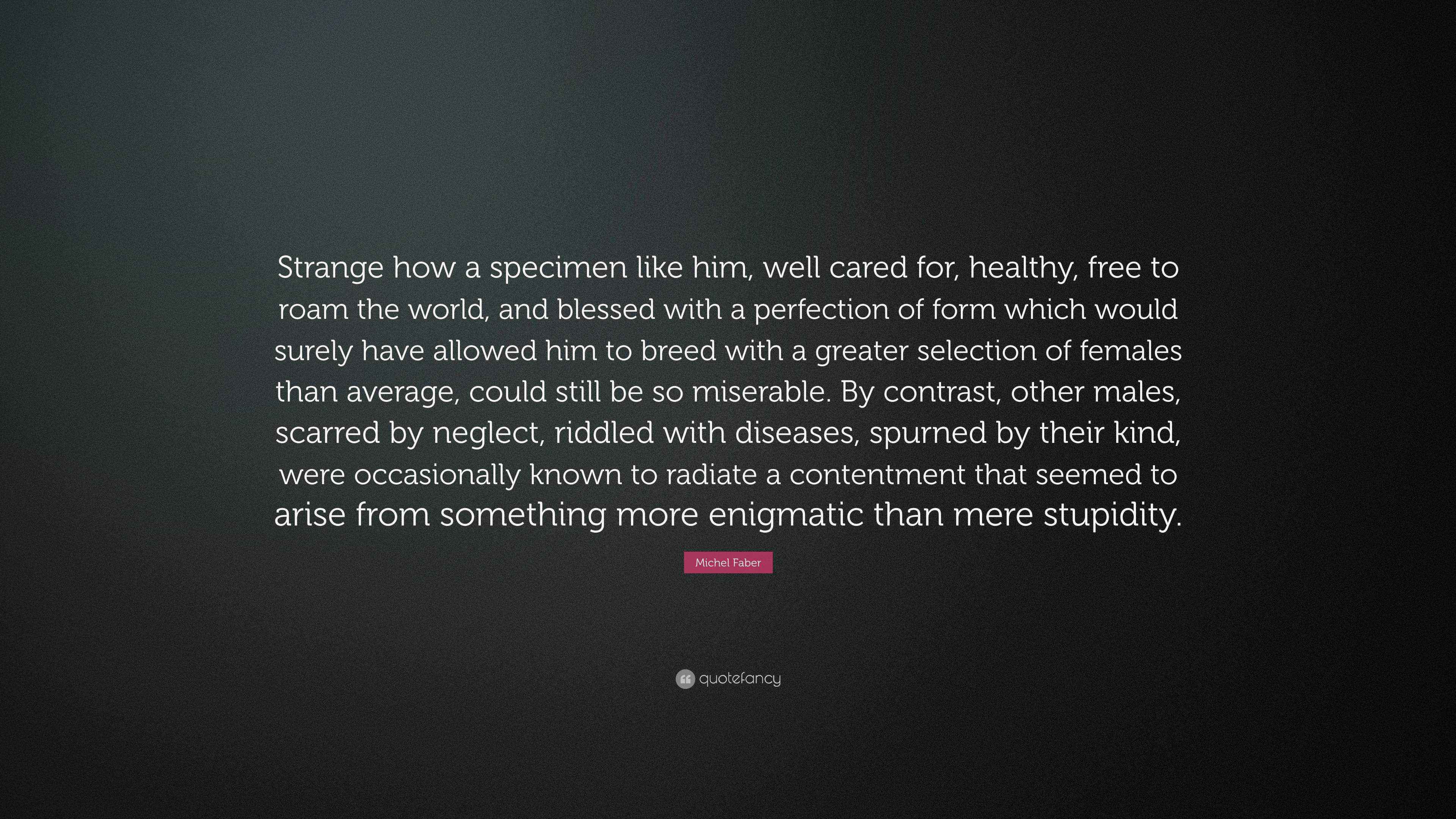 Michel Faber Quote: “Strange how a specimen like him, well cared for ...