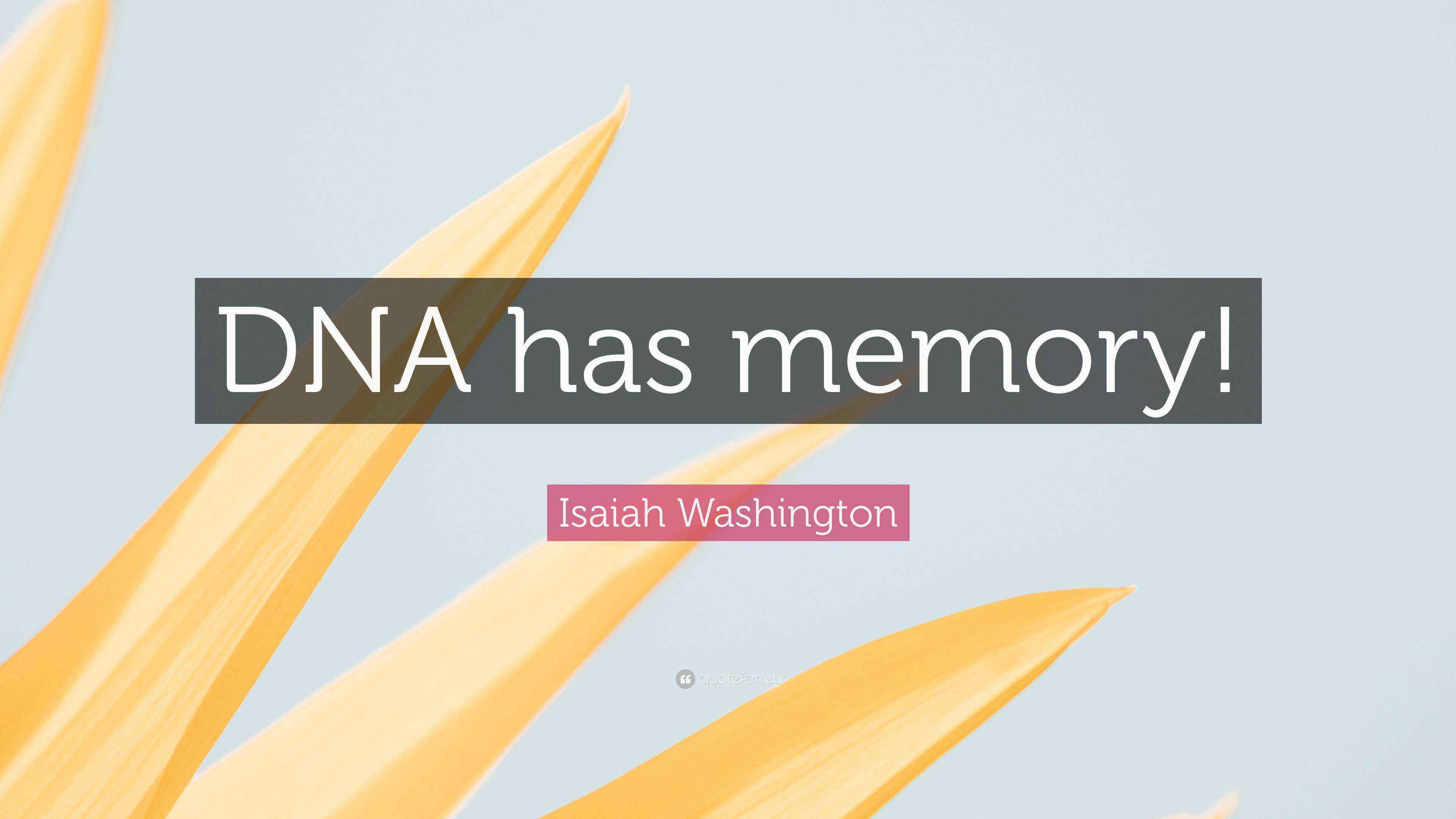 Isaiah Washington Quote: “DNA has memory!”