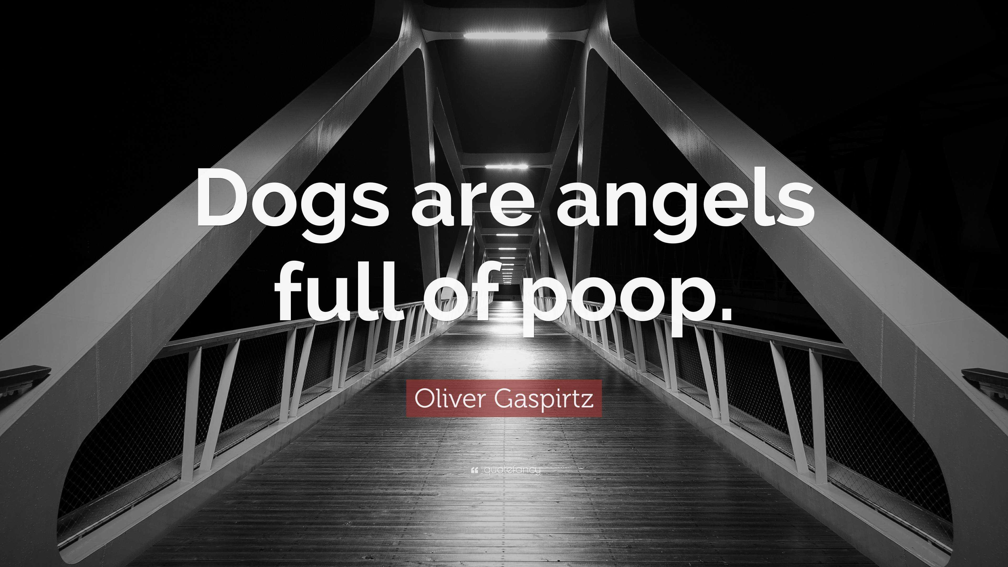 Oliver Gaspirtz Quote: “Dogs are angels full of poop.”