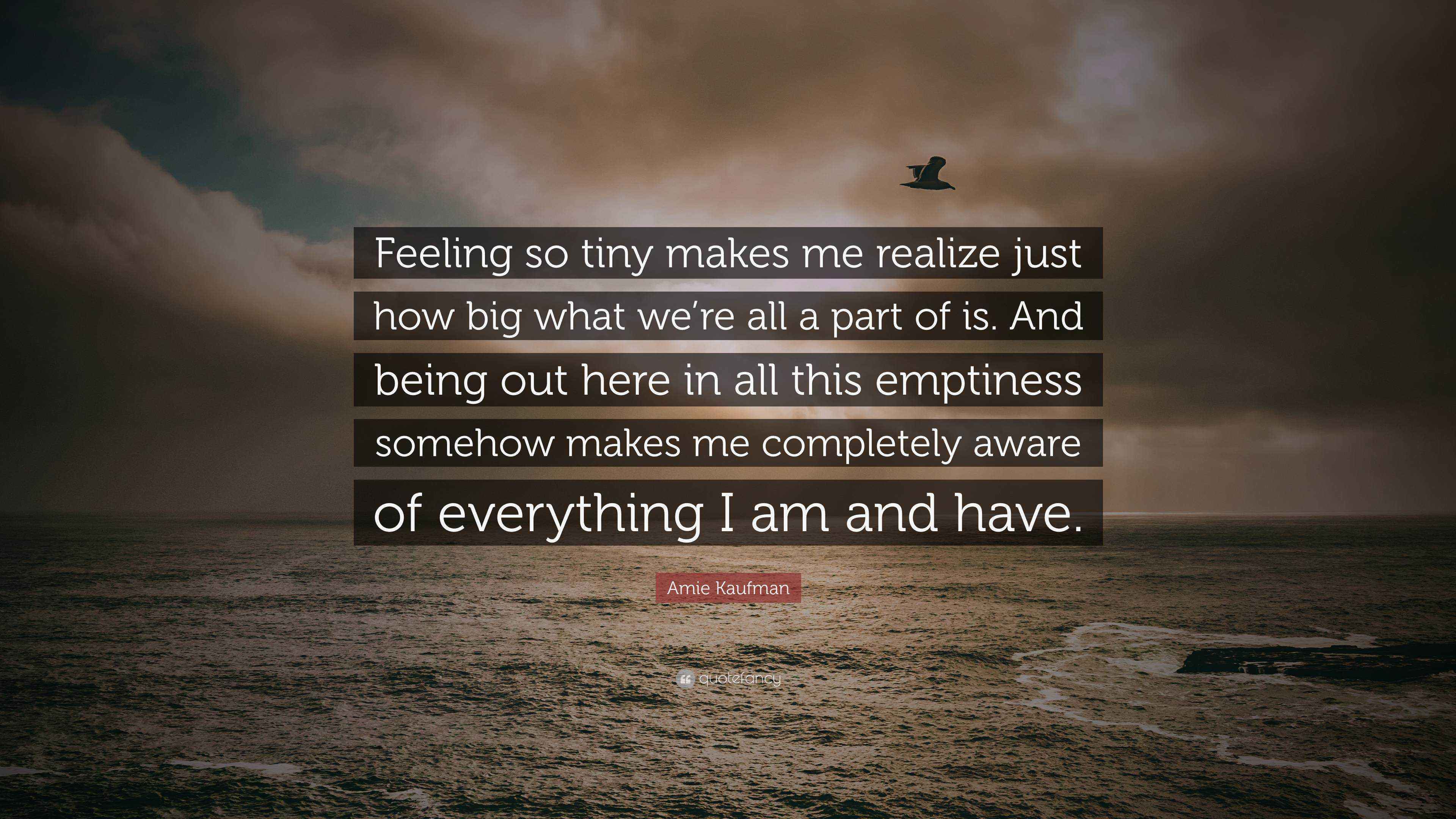 Amie Kaufman Quote: “Feeling so tiny makes me realize just how big what ...