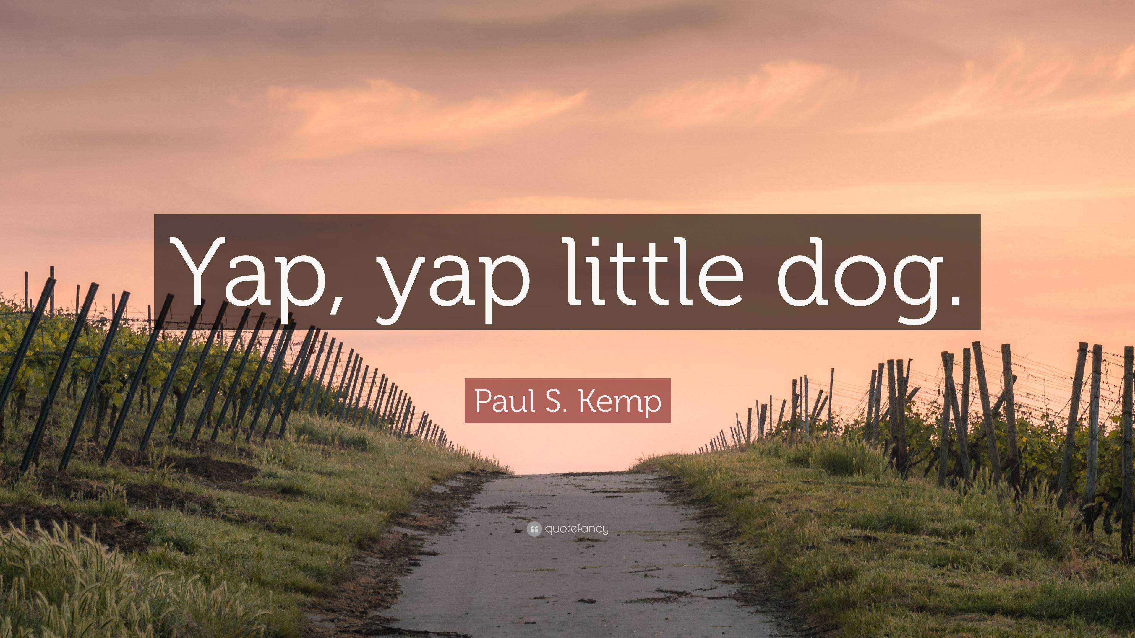 Paul S. Kemp Quote: “Yap, yap little dog.”