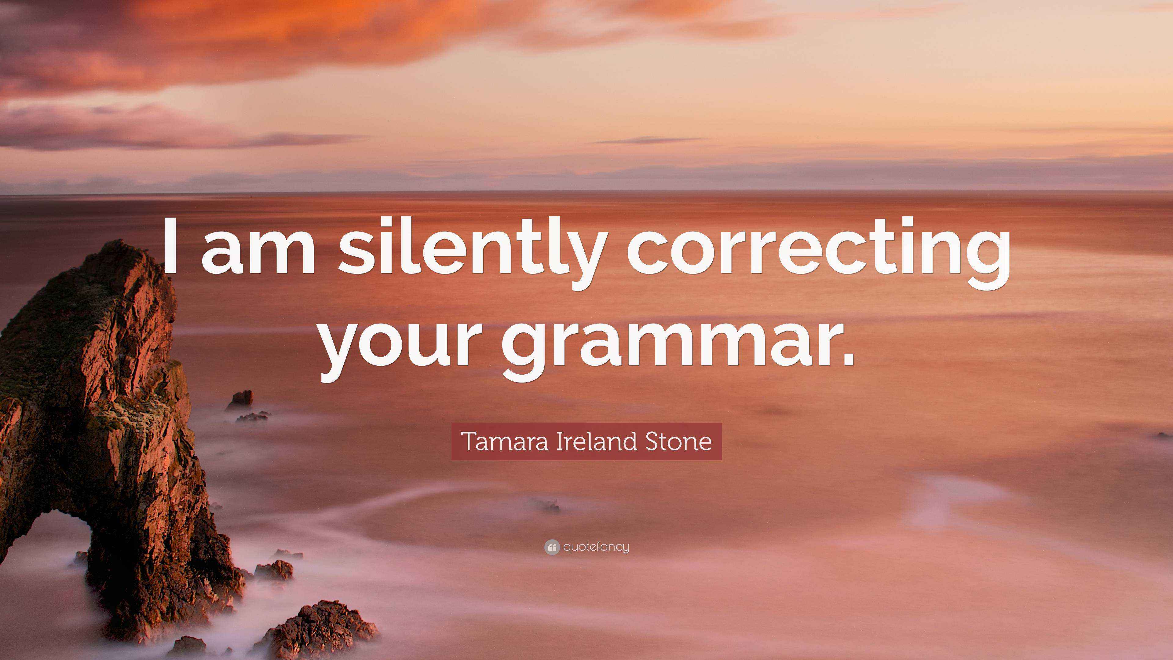 Tamara Ireland Stone Quote: “I am silently correcting your grammar.”