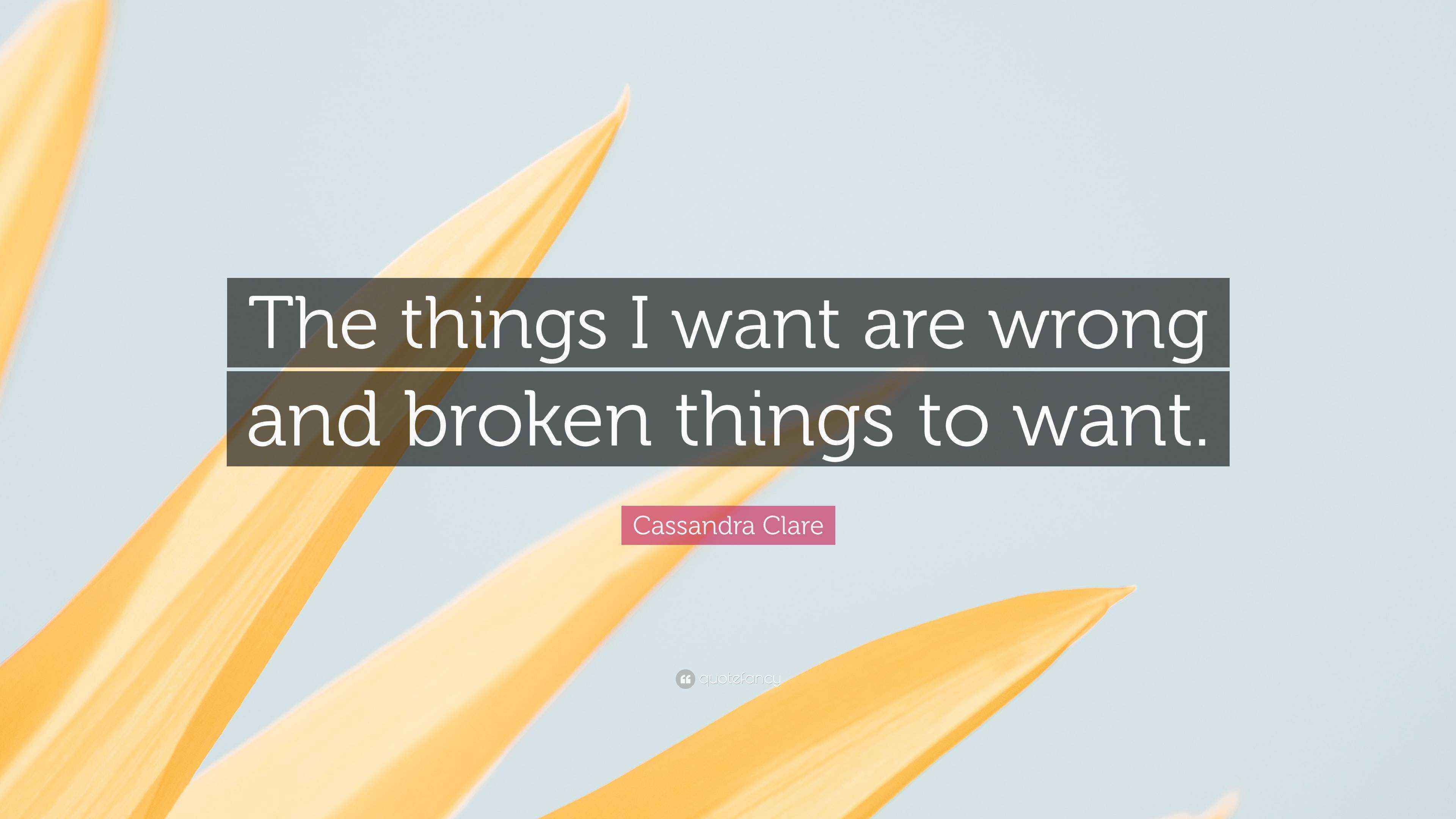 Cassandra Clare Quote: “The things I want are wrong and broken things ...