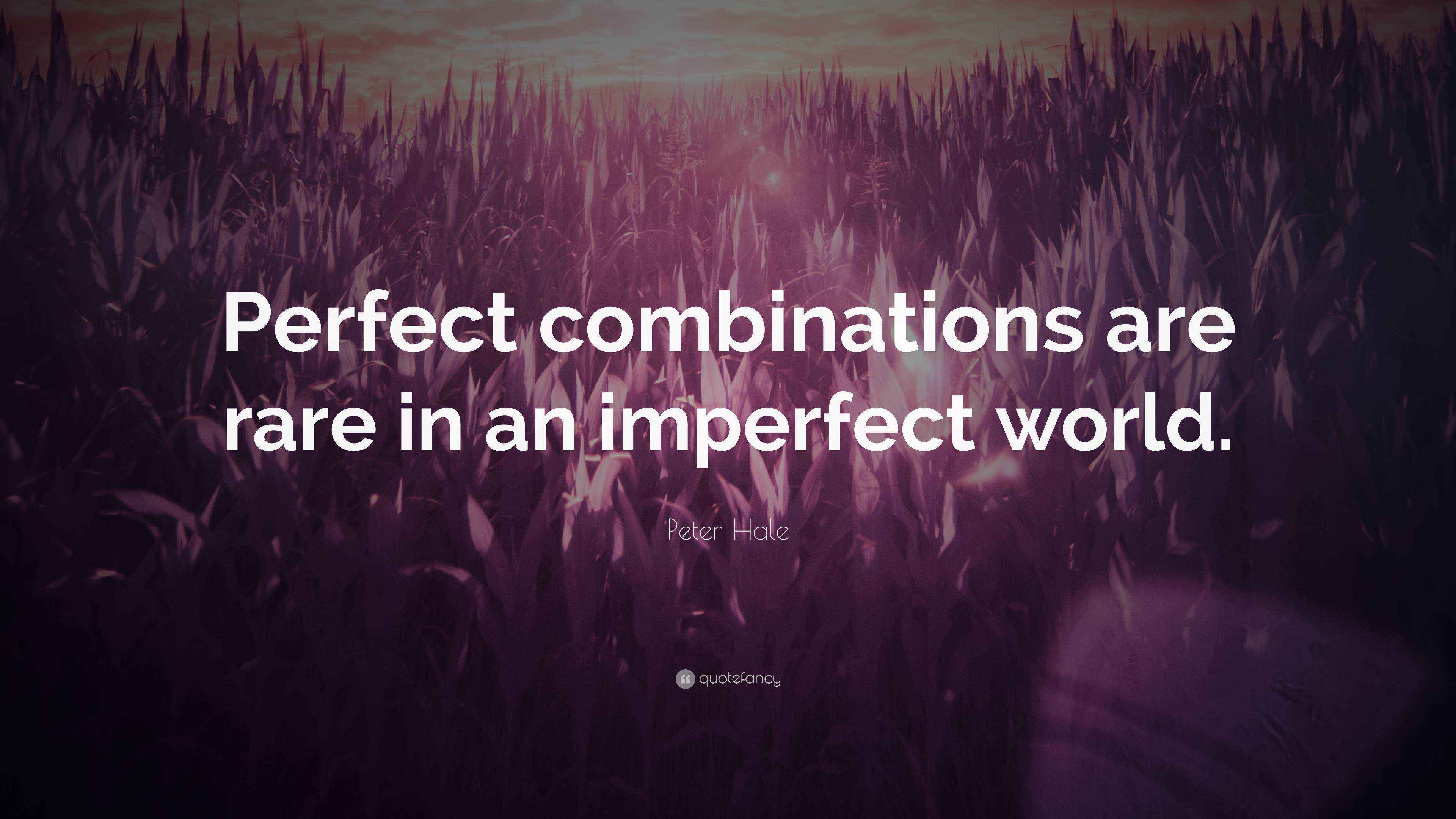 Peter Hale Quote: “Perfect combinations are rare in an imperfect world.”