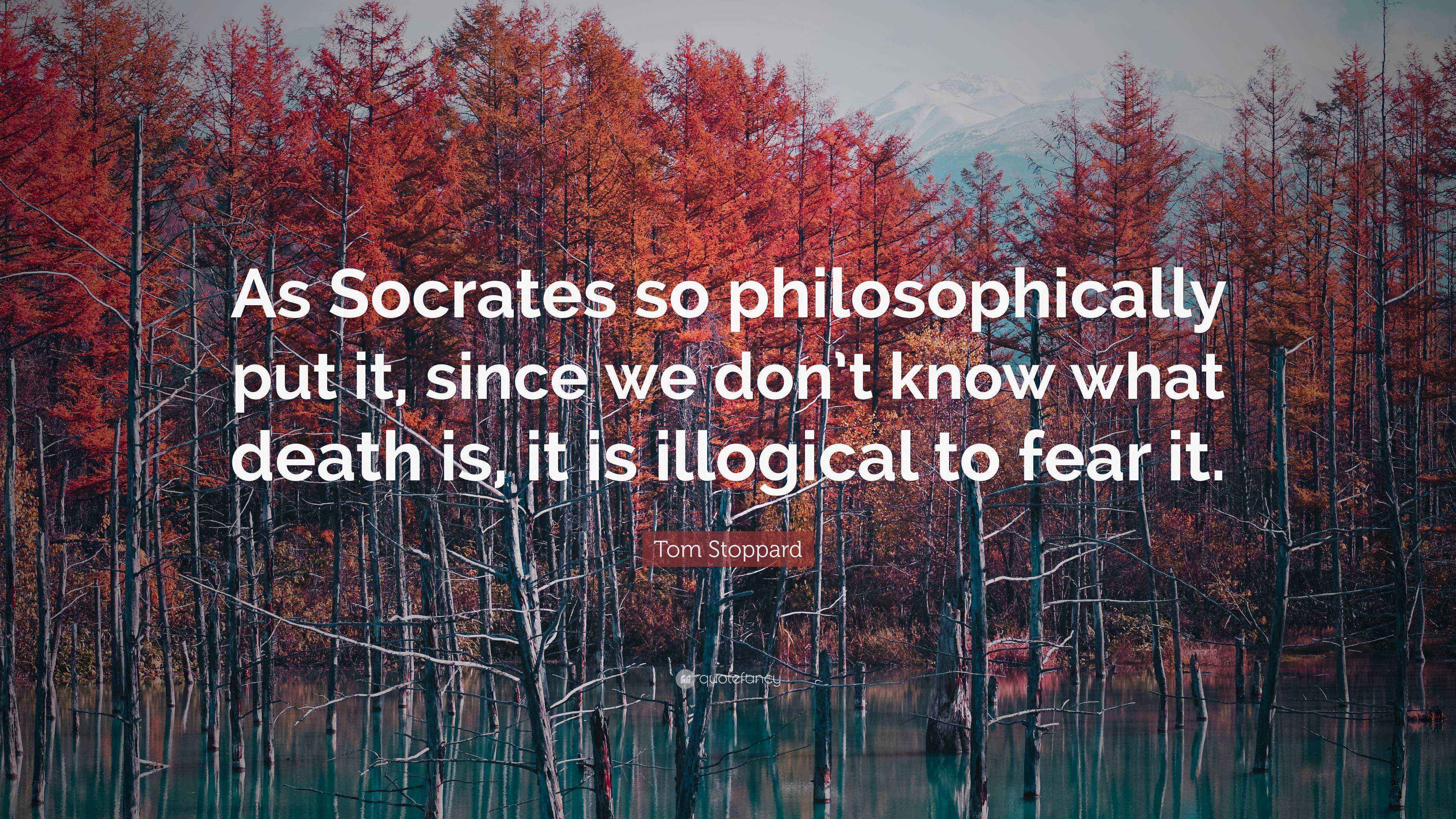 Tom Stoppard Quote: “As Socrates so philosophically put it, since we ...