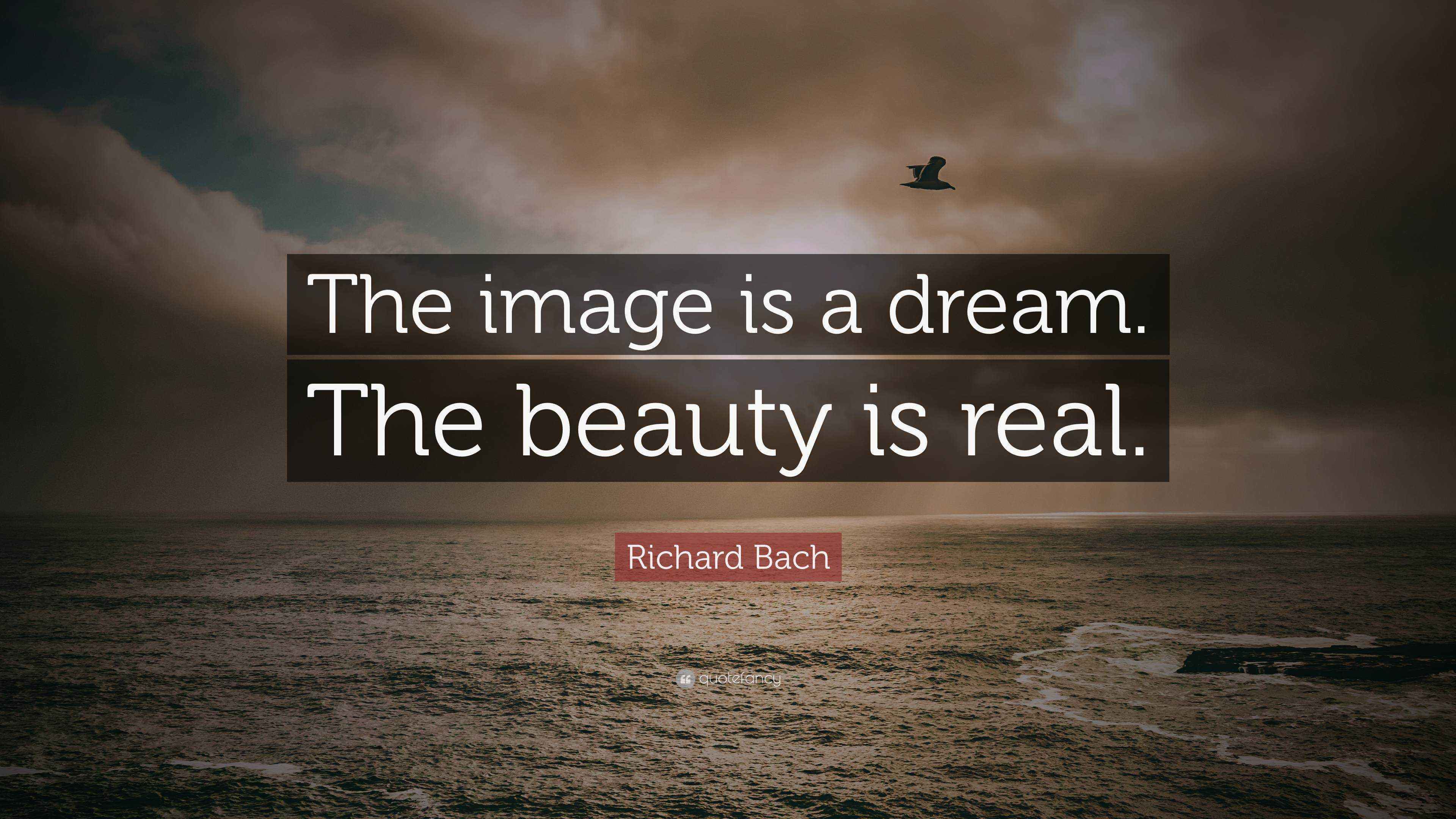 Richard Bach Quote: “The image is a dream. The beauty is real.”