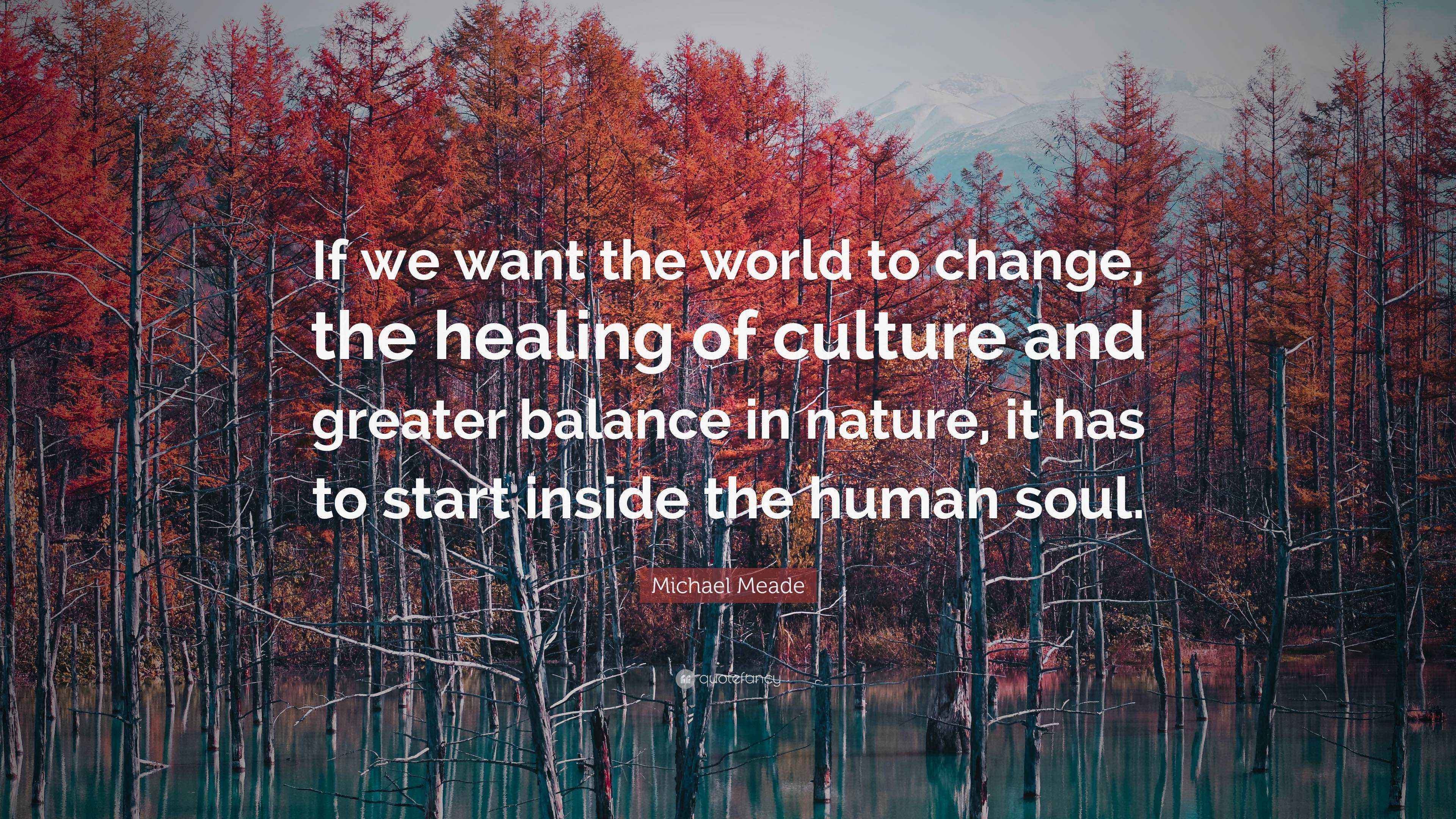Michael Meade Quote: “If we want the world to change, the healing of ...