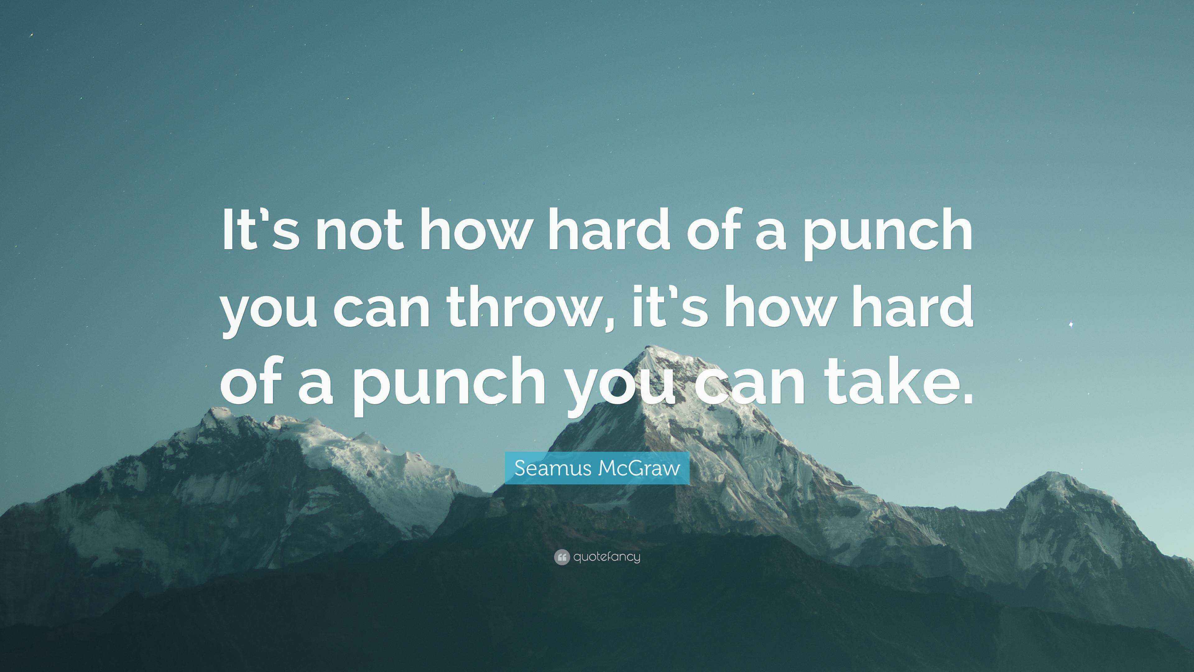 Seamus McGraw Quote: “It’s not how hard of a punch you can throw, it’s ...