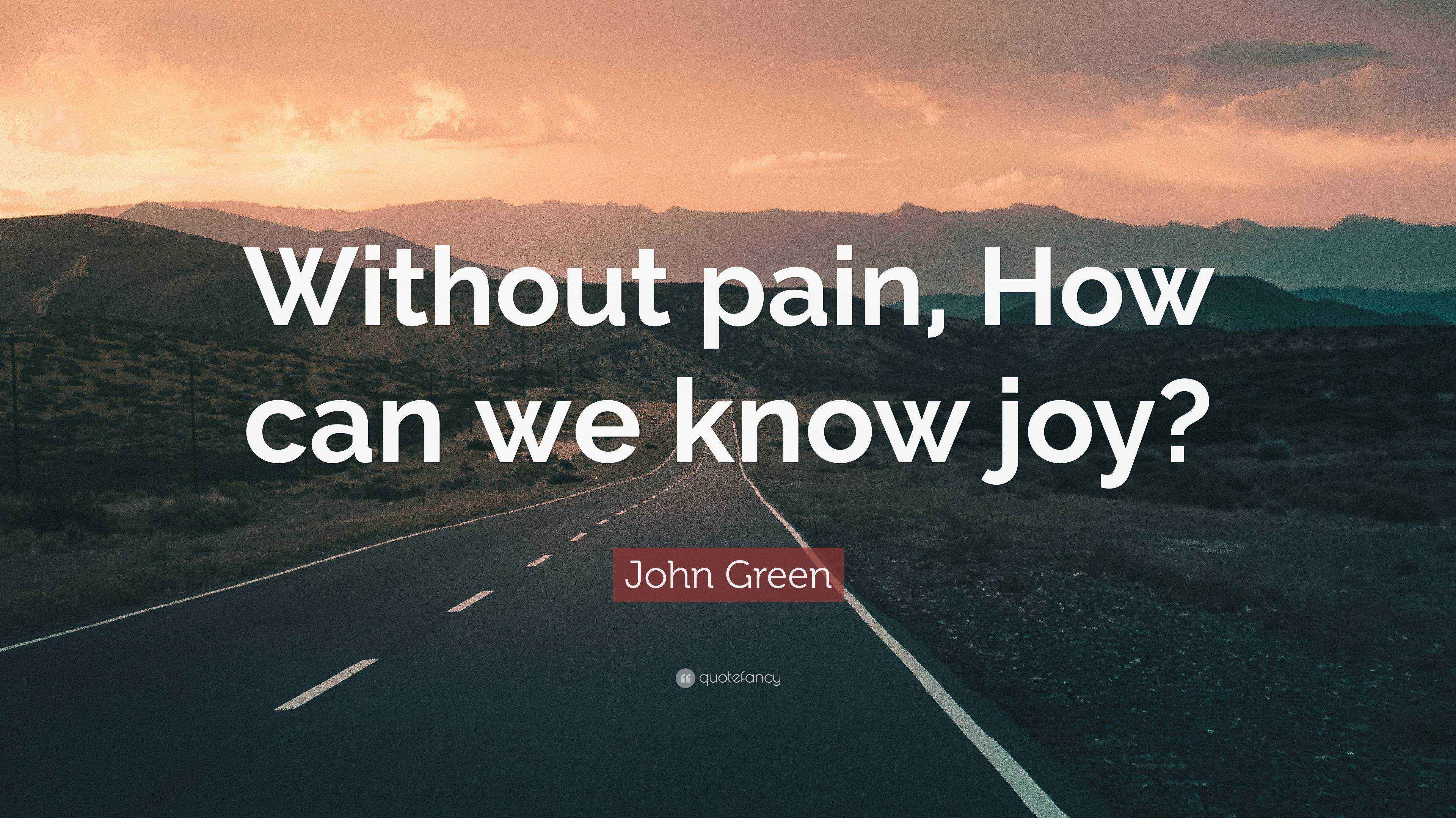 John Green Quote: “Without pain, How can we know joy?”