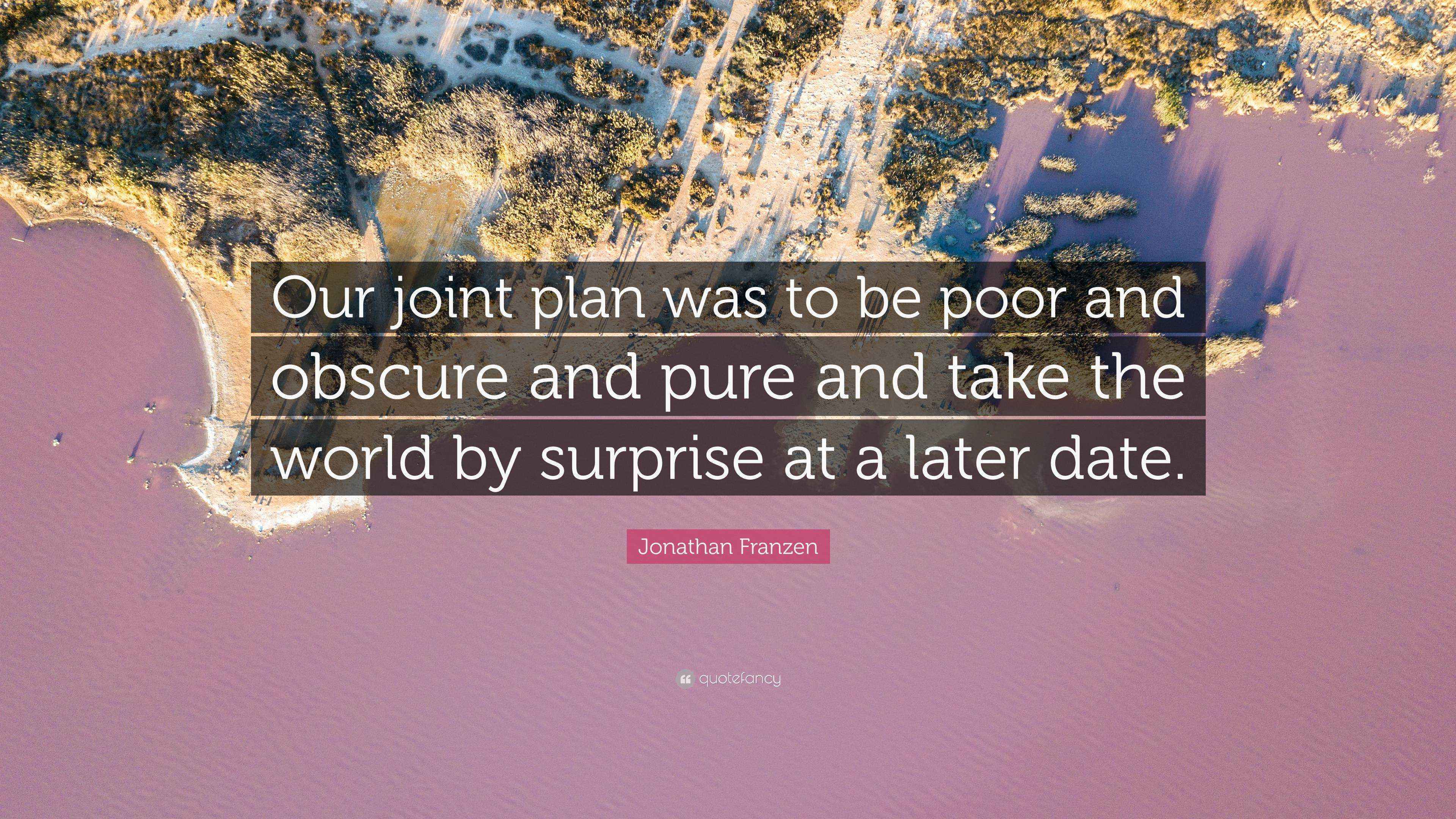 Jonathan Franzen Quote: “Our joint plan was to be poor and obscure and ...