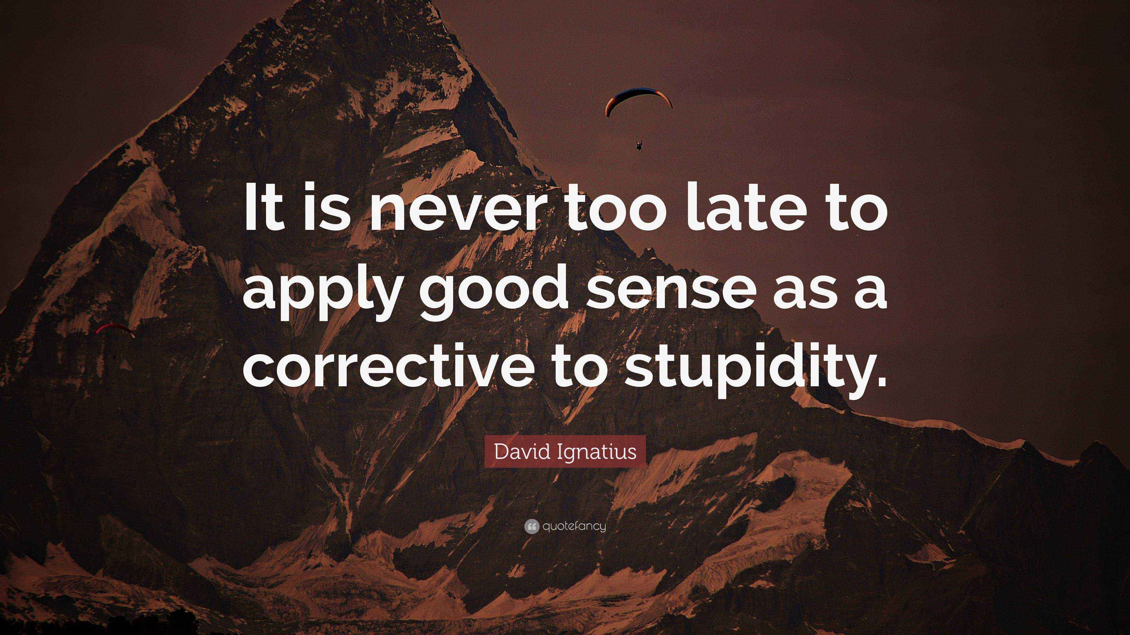 David Ignatius Quote: “It is never too late to apply good sense as a ...