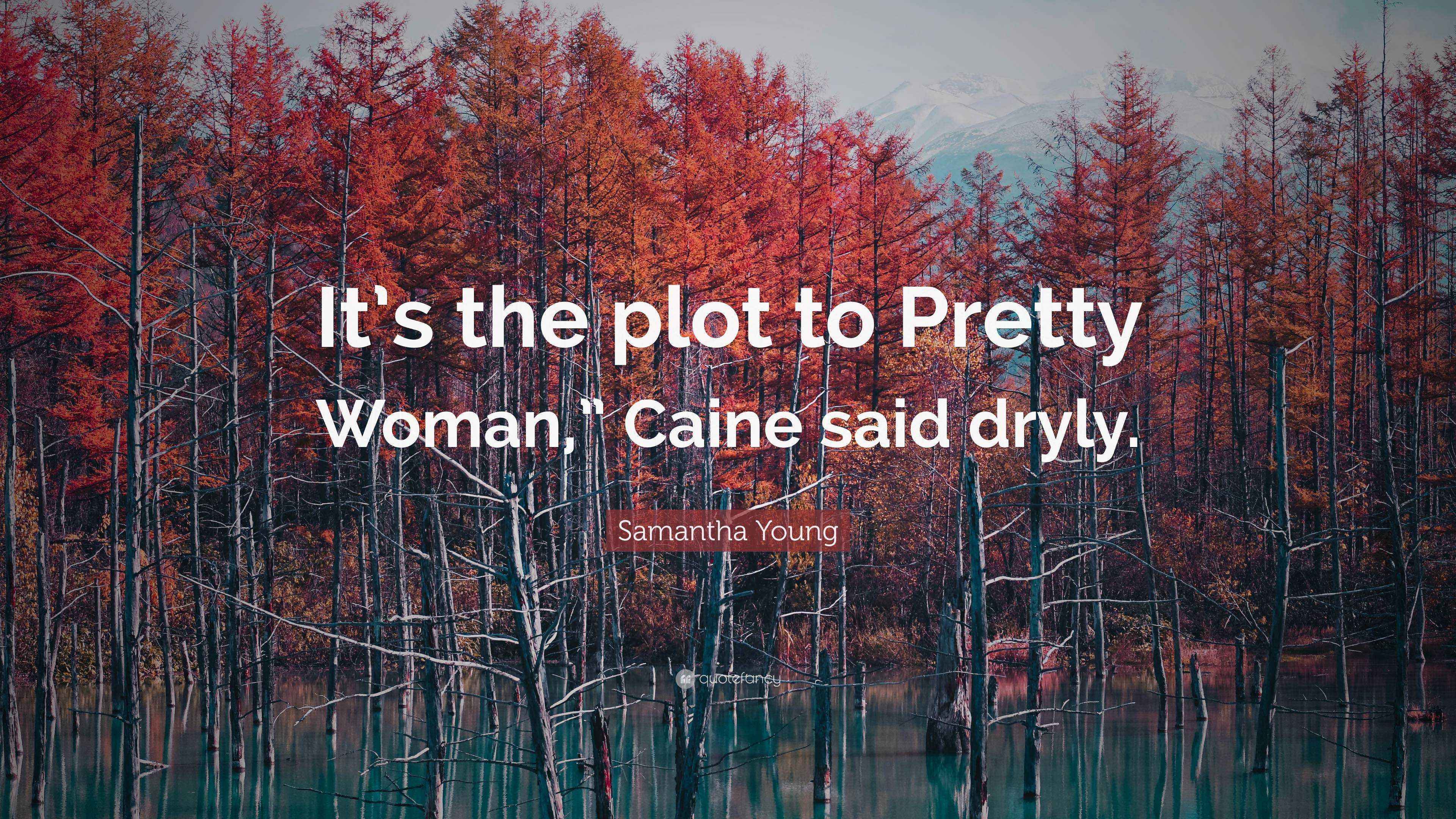 Samantha Young Quote: “It’s the plot to Pretty Woman,” Caine said dryly.”