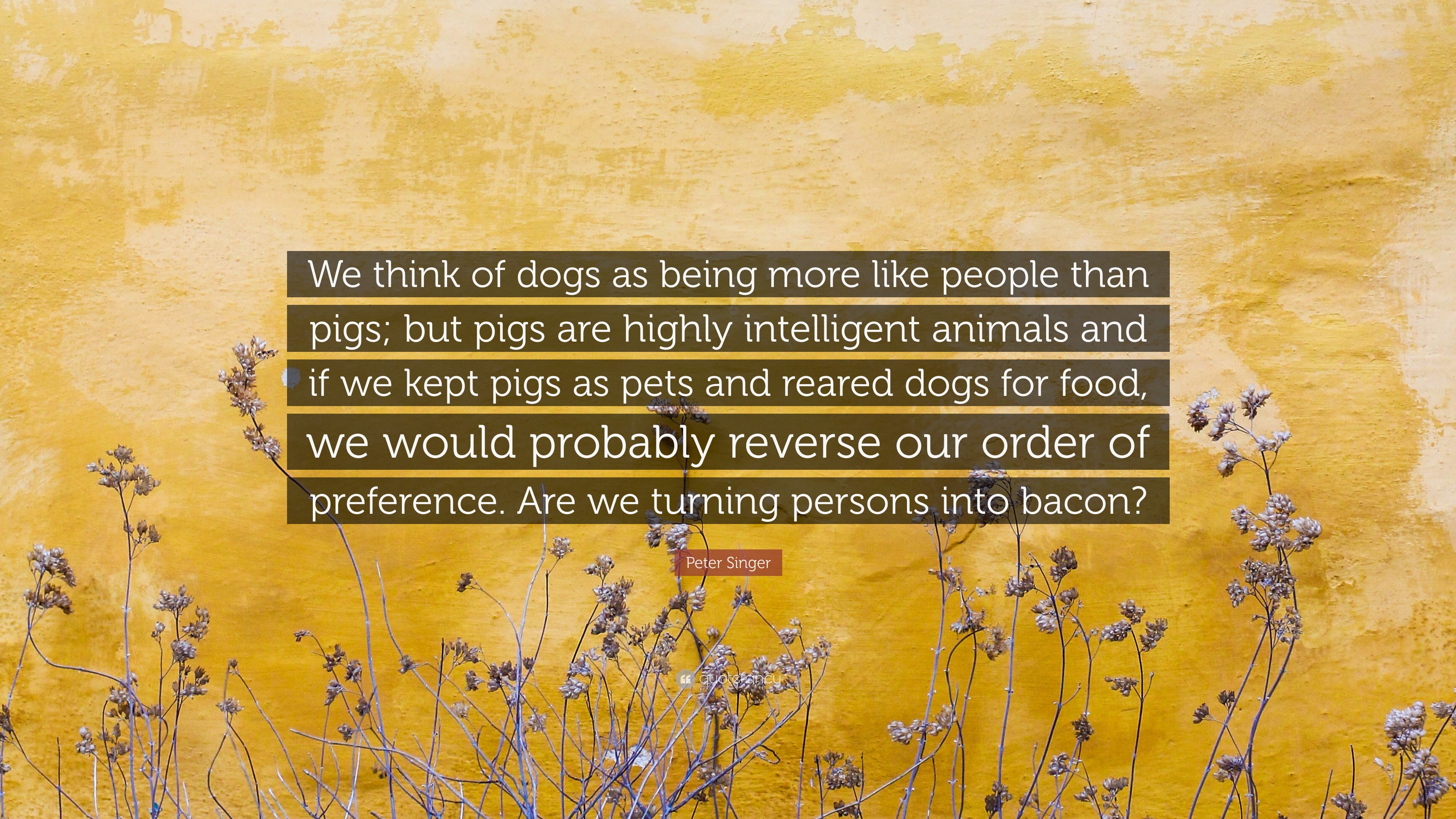 Peter Singer Quote: “We think of dogs as being more like people than ...