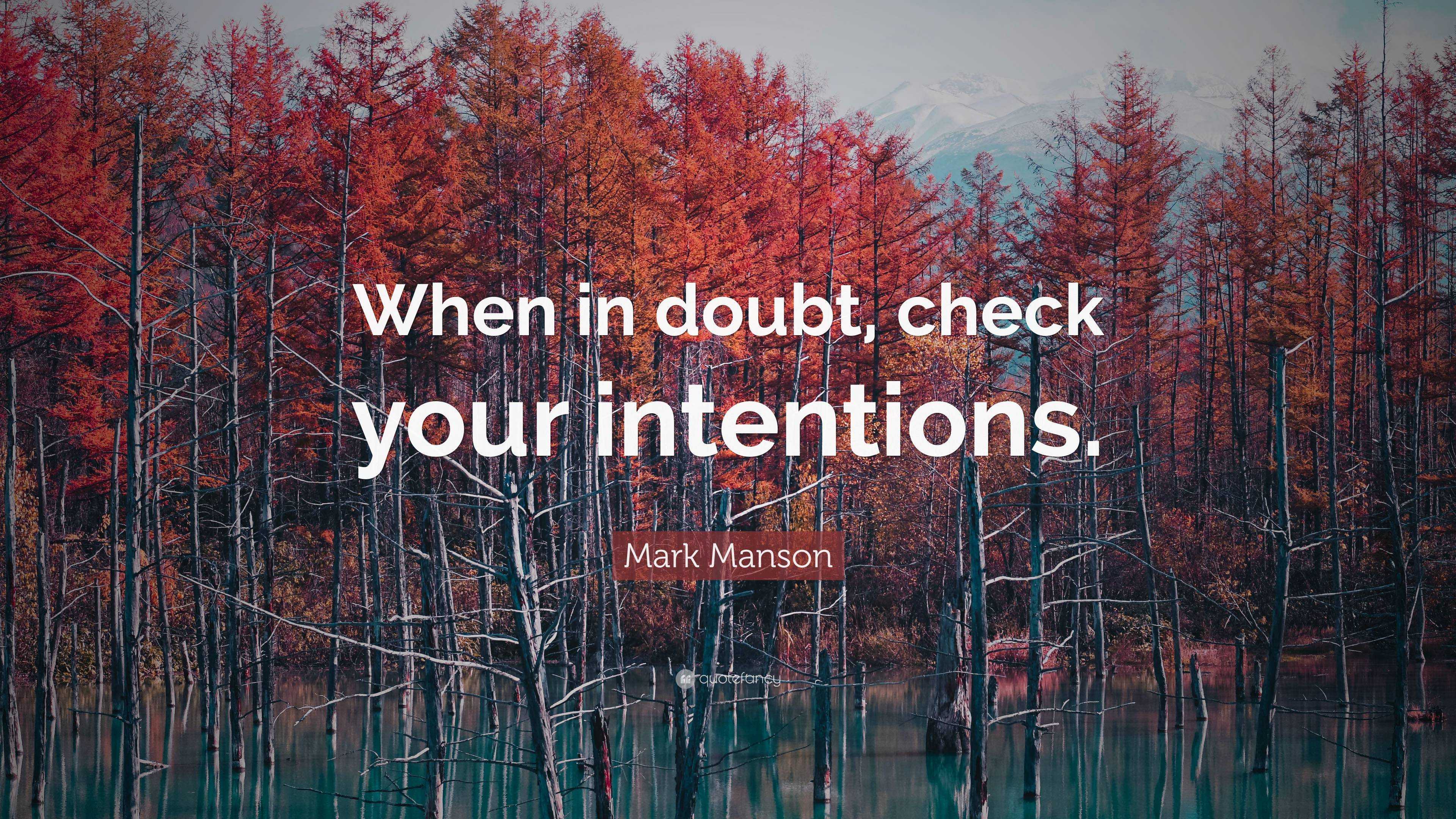 Mark Manson Quote: “When in doubt, check your intentions.”