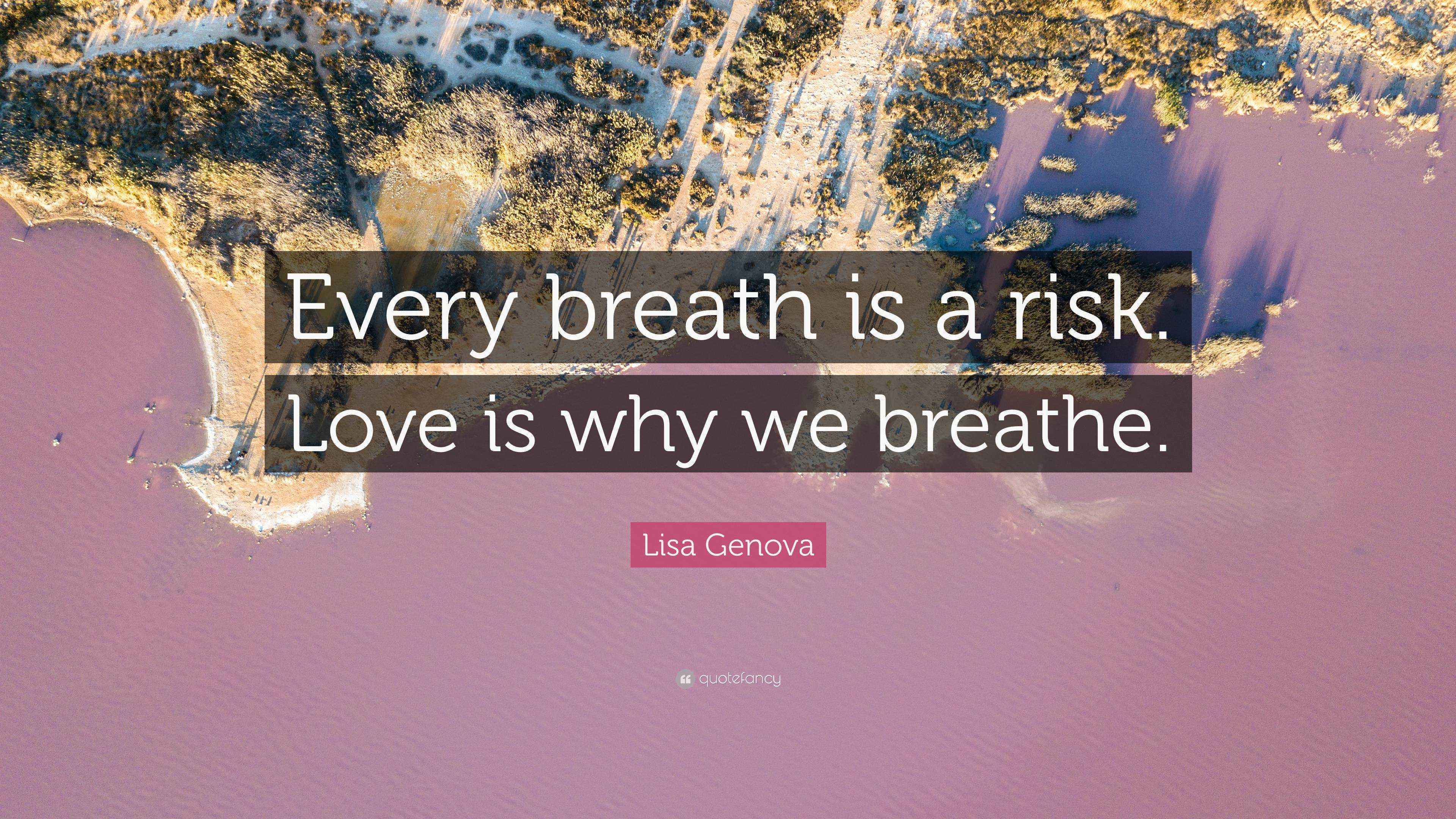 Lisa Genova Quote: “Every breath is a risk. Love is why we breathe.”