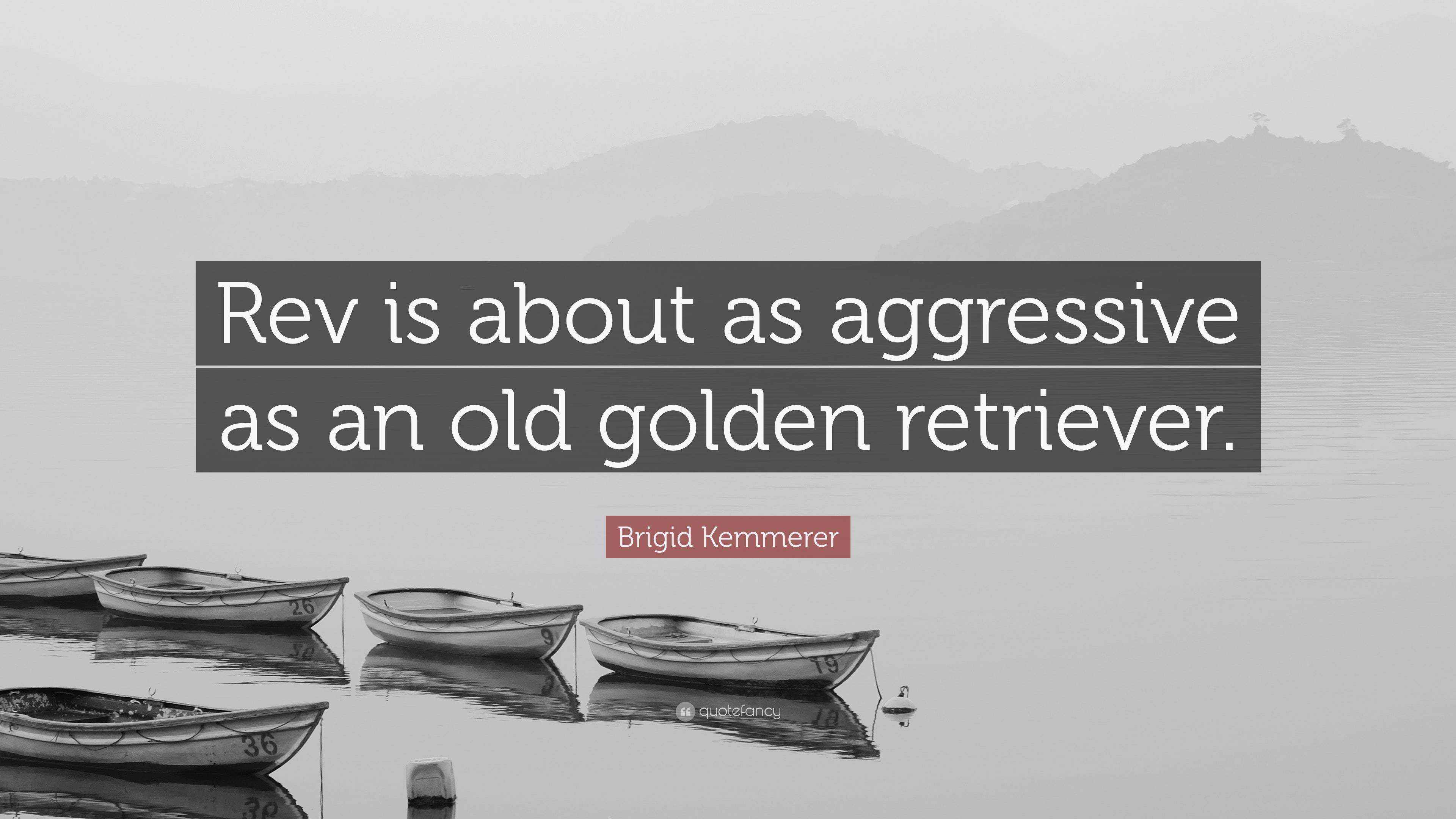 Brigid Kemmerer Quote: “Rev is about as aggressive as an old golden ...
