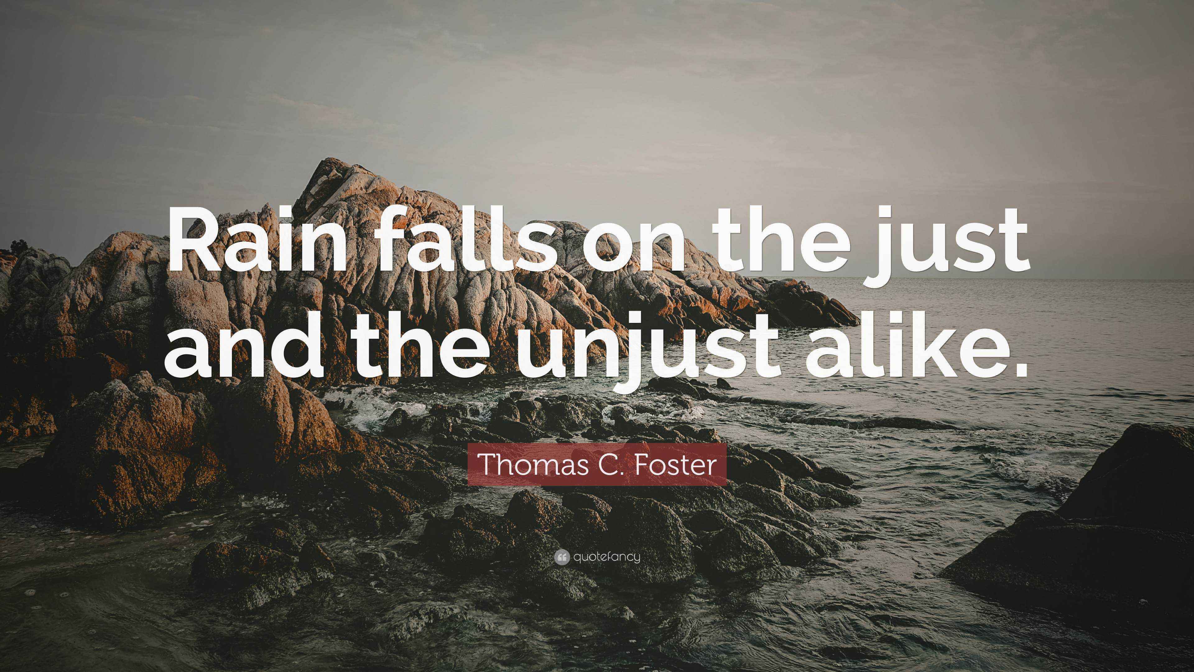 Thomas C. Foster Quote: “Rain falls on the just and the unjust alike.”