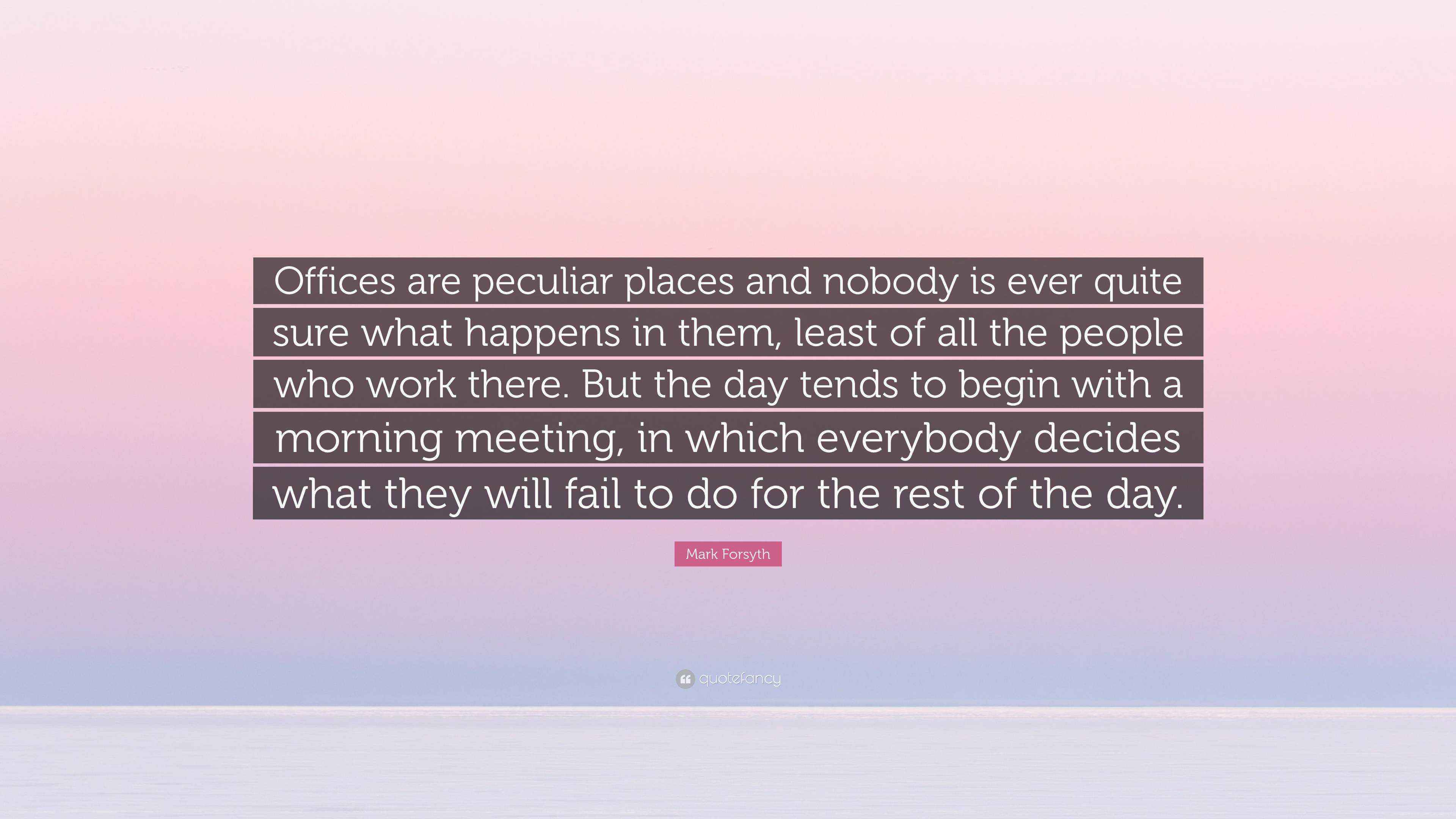 Mark Forsyth Quote: “Offices are peculiar places and nobody is ever ...