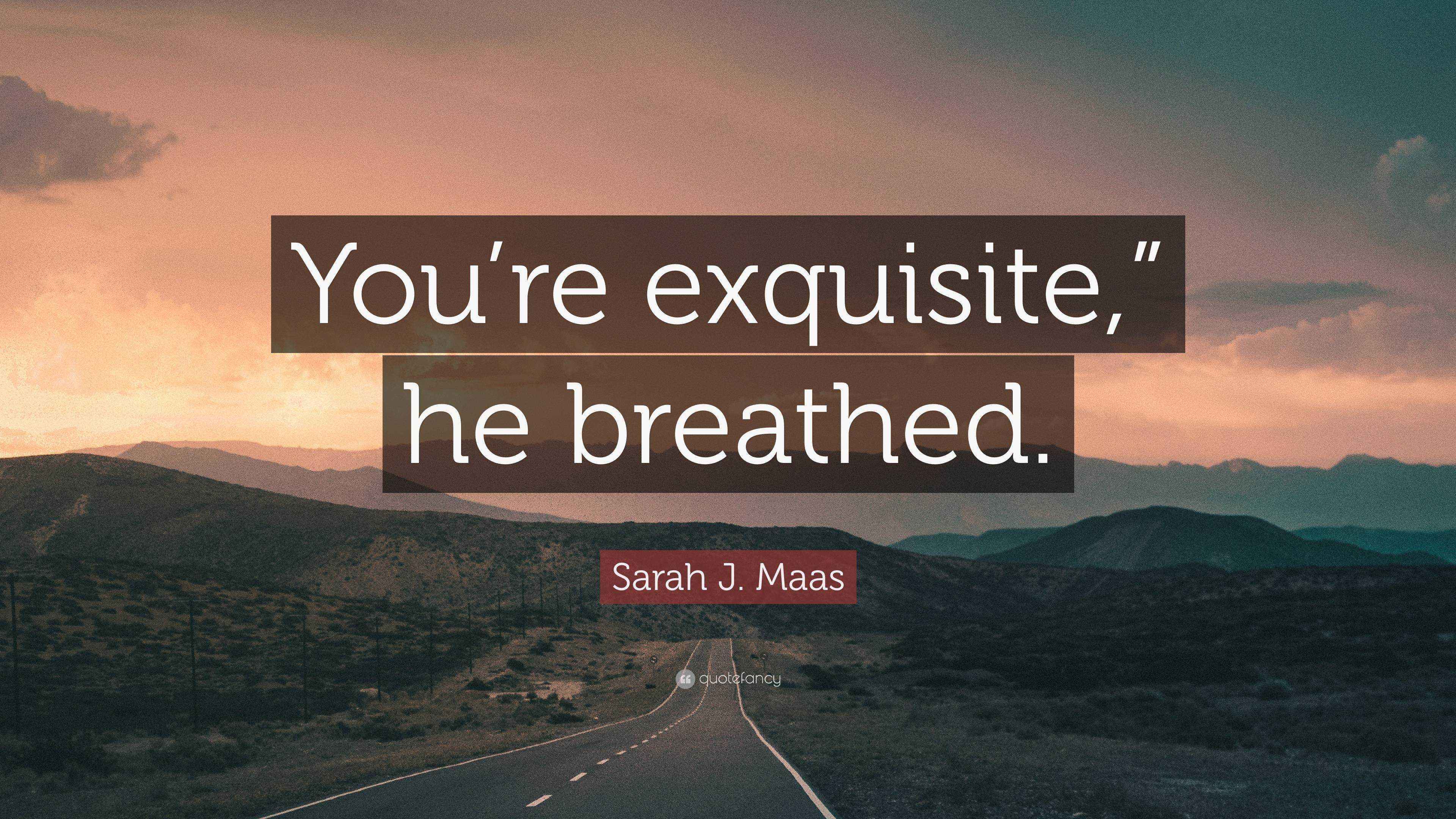 Sarah J. Maas Quote: “You’re exquisite,” he breathed.”