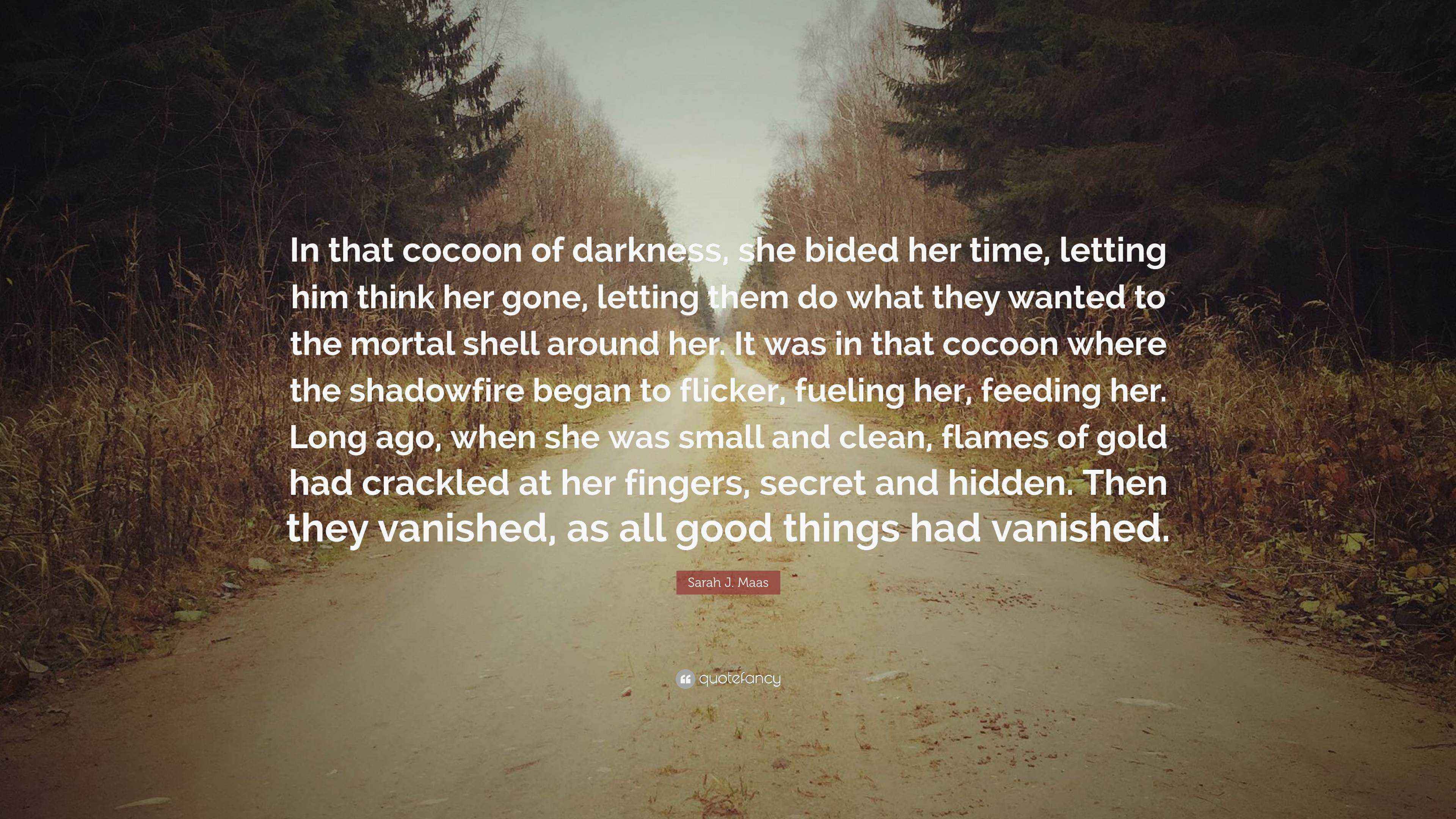 Sarah J. Maas Quote: “In that cocoon of darkness, she bided her time ...