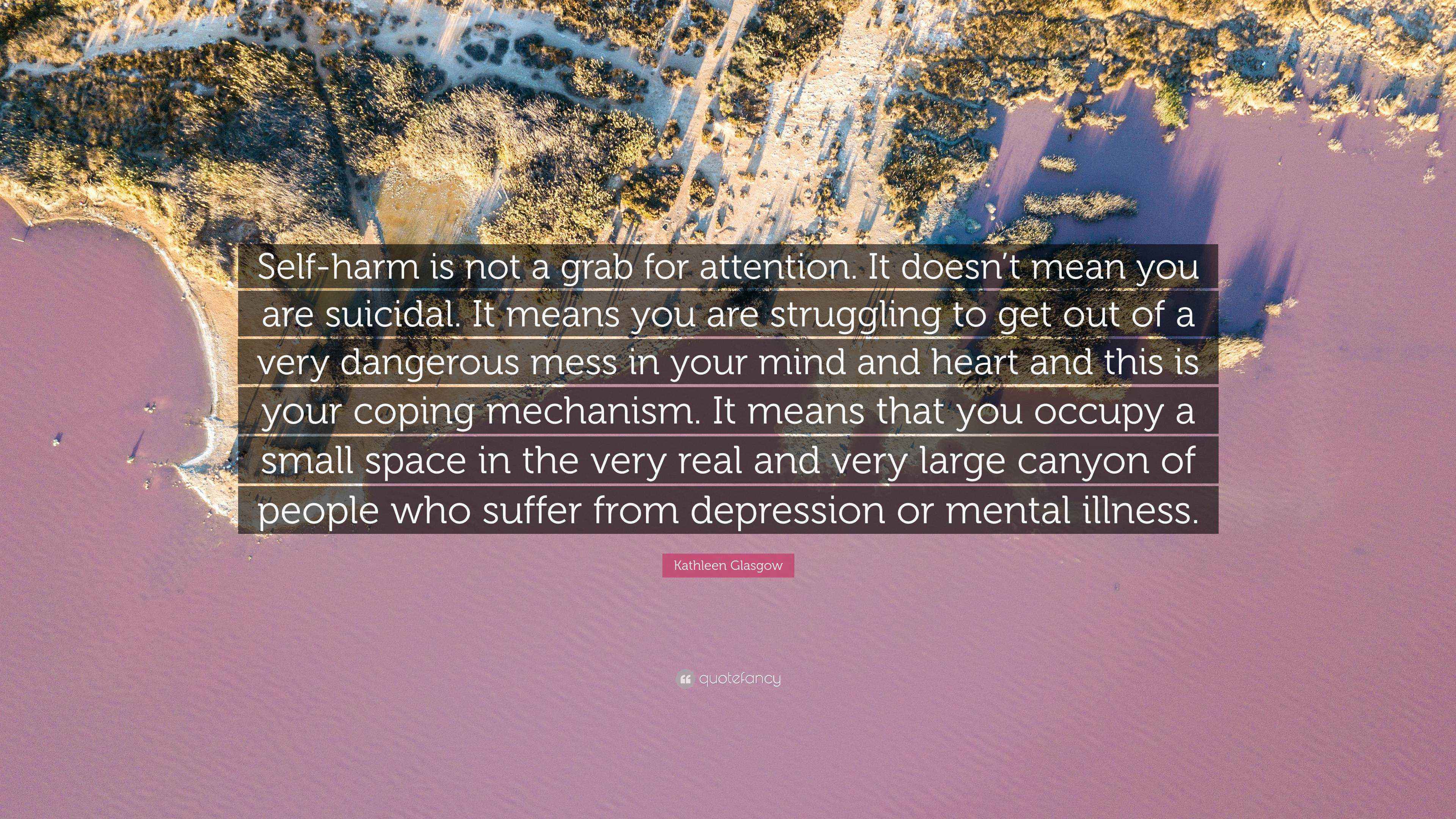 Kathleen Glasgow Quote: “Self-harm is not a grab for attention. It ...