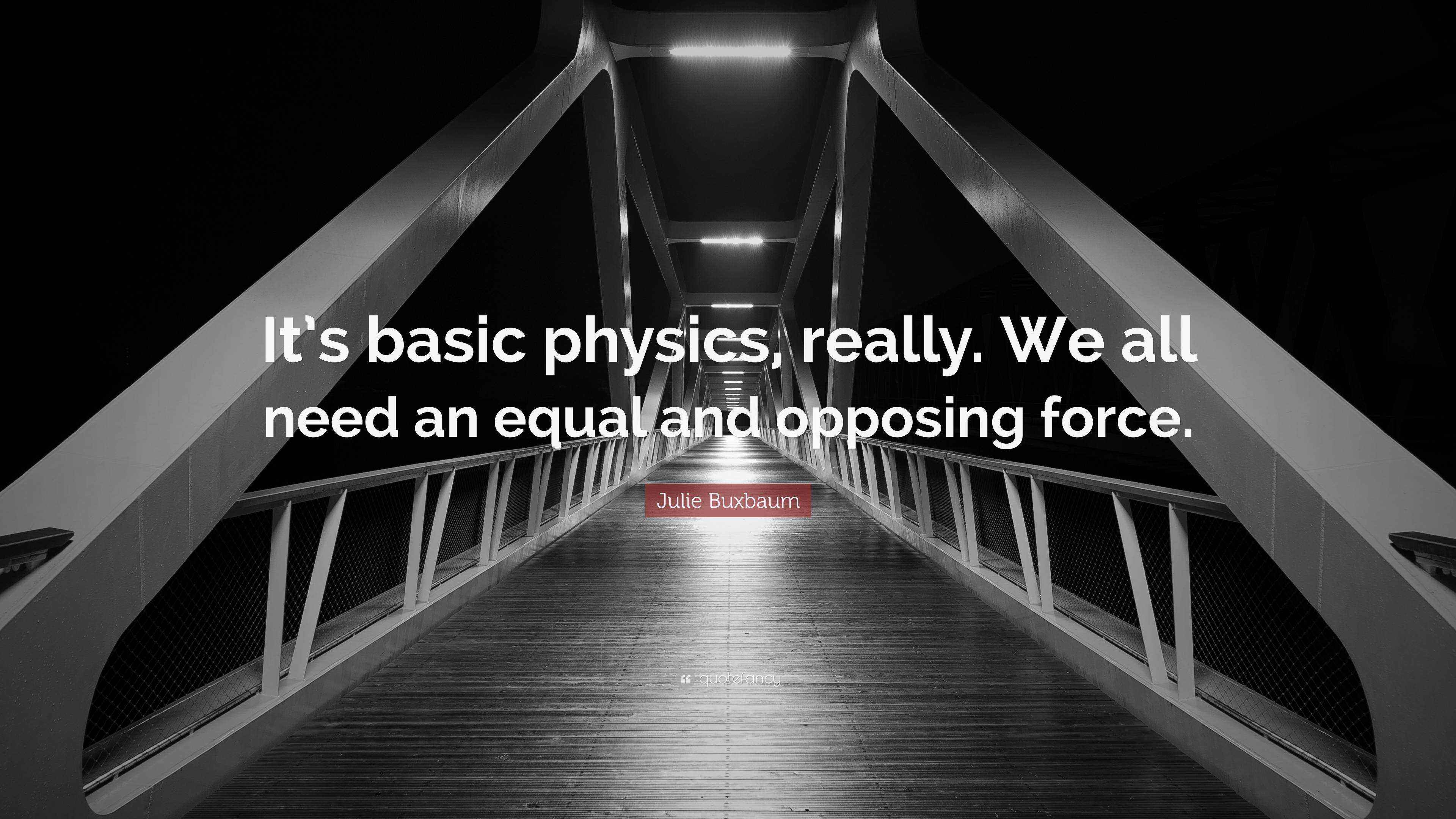 Julie Buxbaum Quote: “It’s basic physics, really. We all need an equal ...