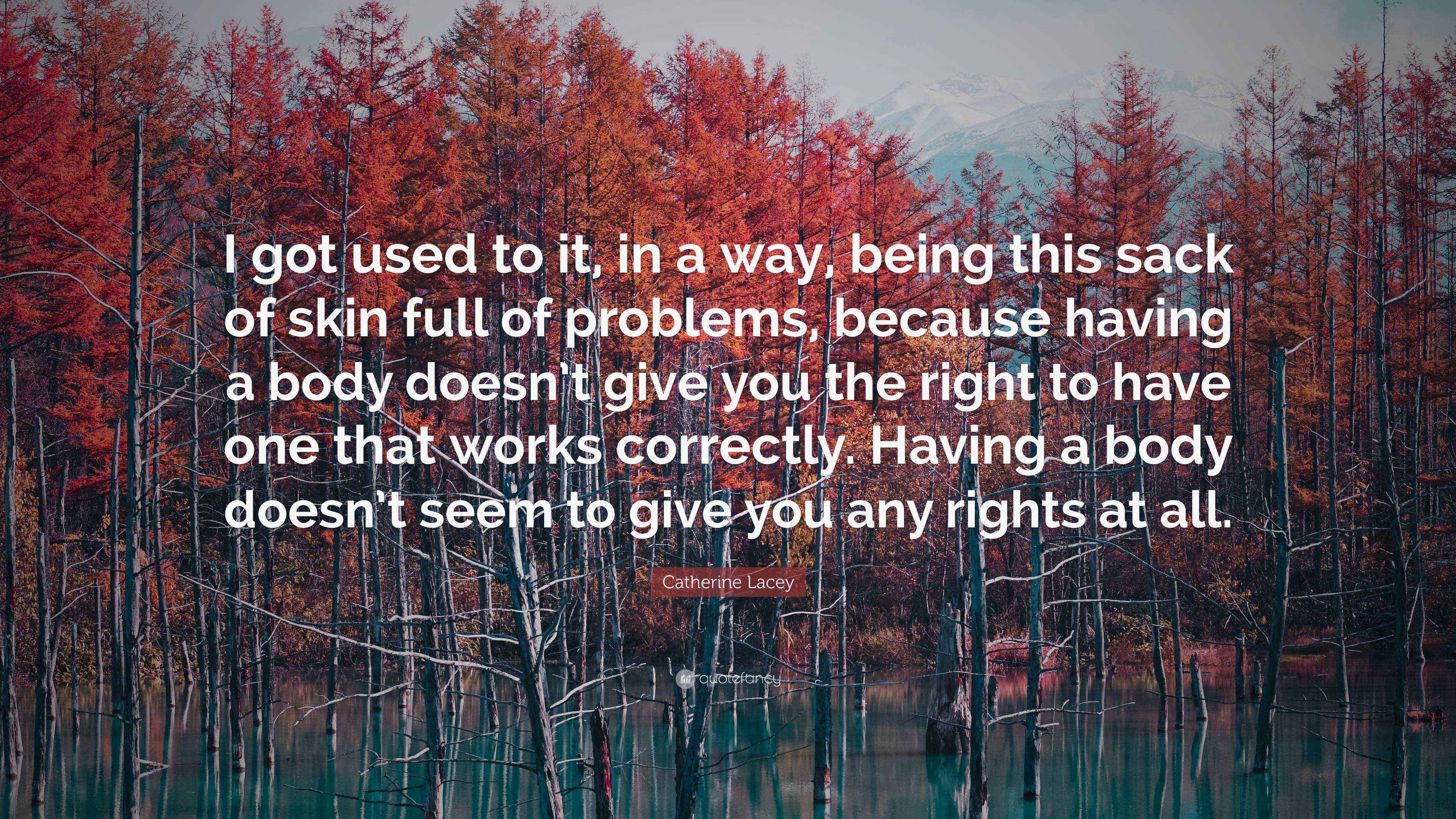 Catherine Lacey Quote: “I got used to it, in a way, being this sack of ...