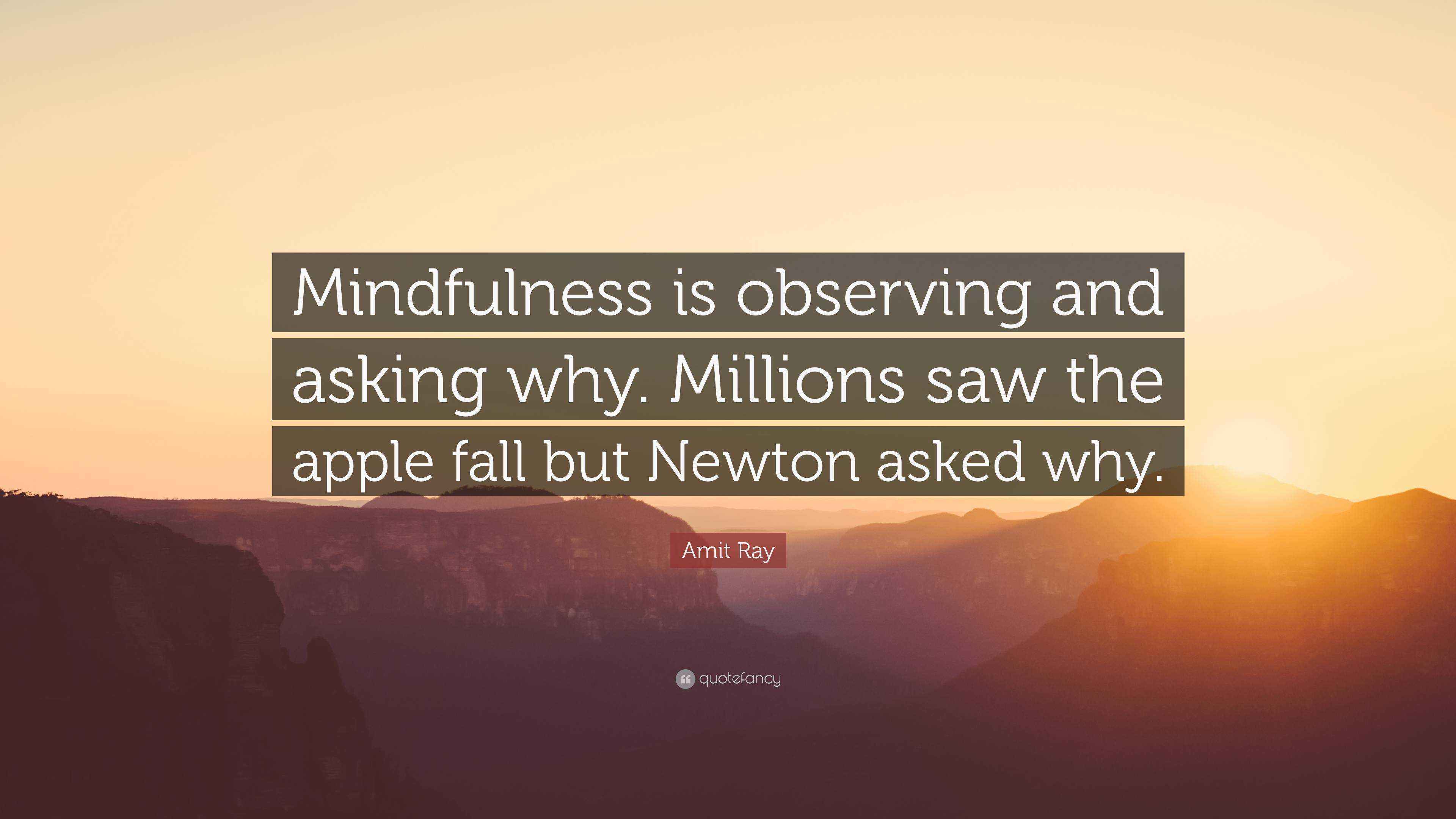 Amit Ray Quote: “Mindfulness is observing and asking why. Millions saw ...