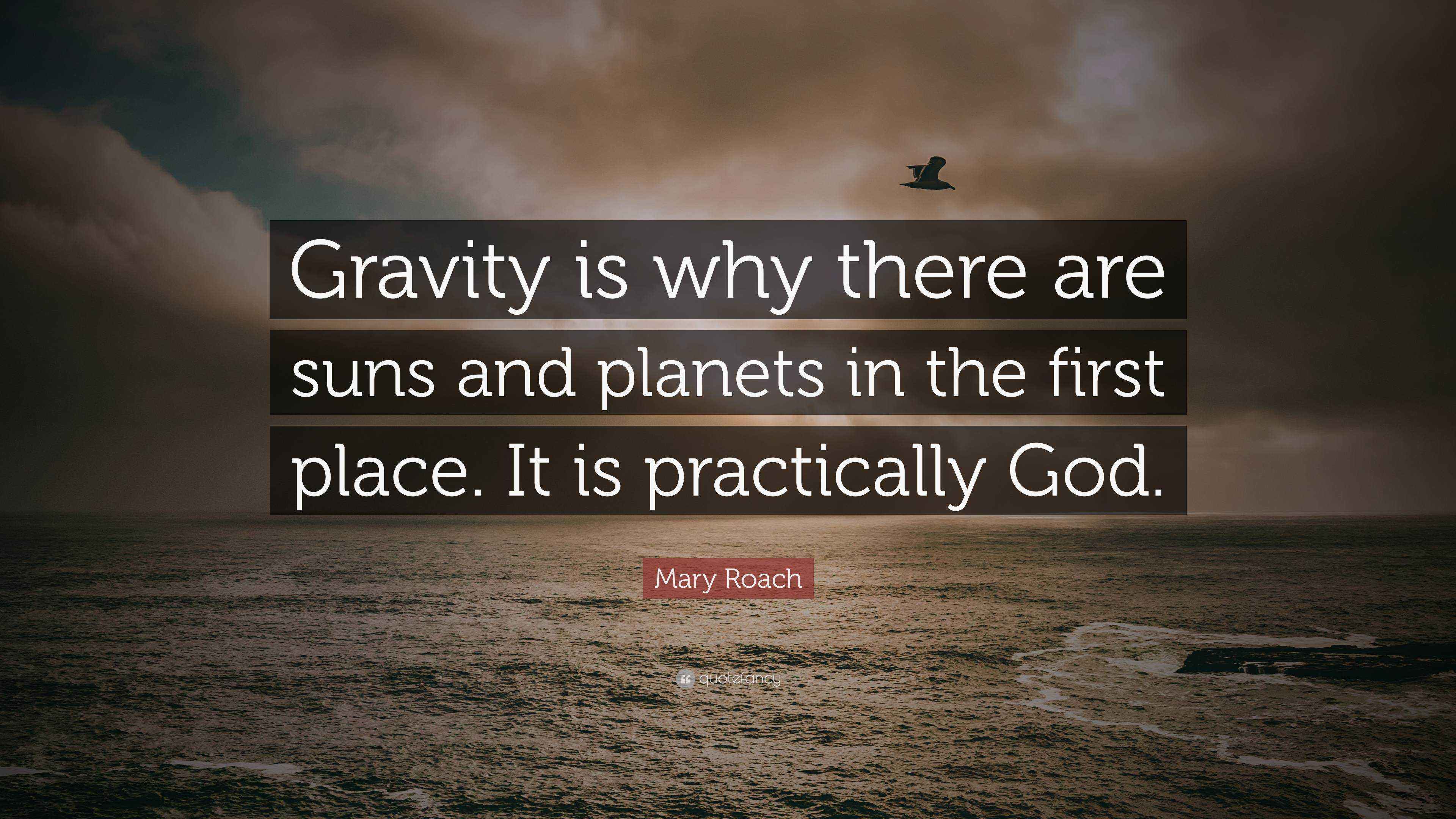 Mary Roach Quote: “Gravity is why there are suns and planets in the ...