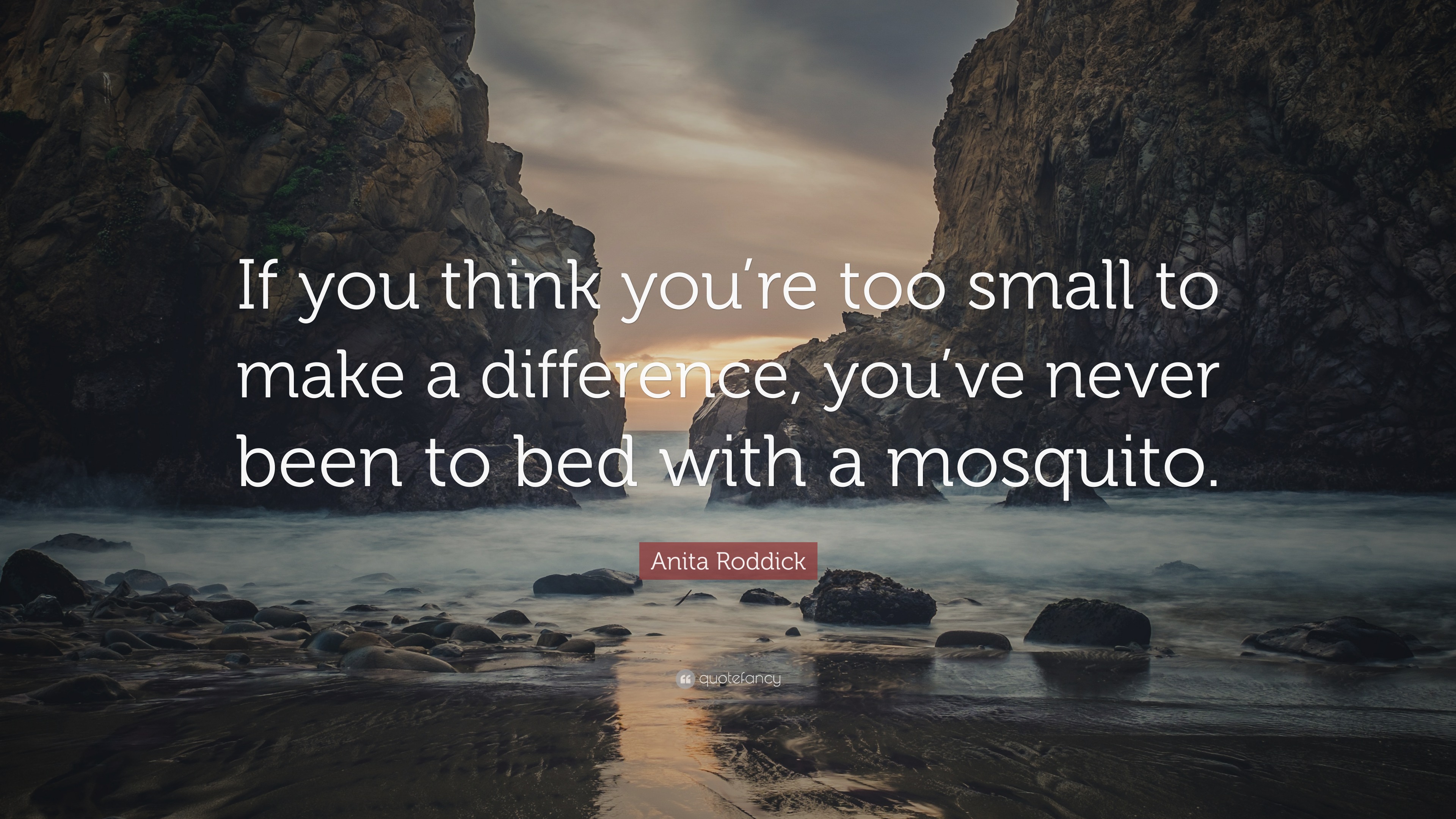 Anita Roddick Quote: “If you think you’re too small to make a ...