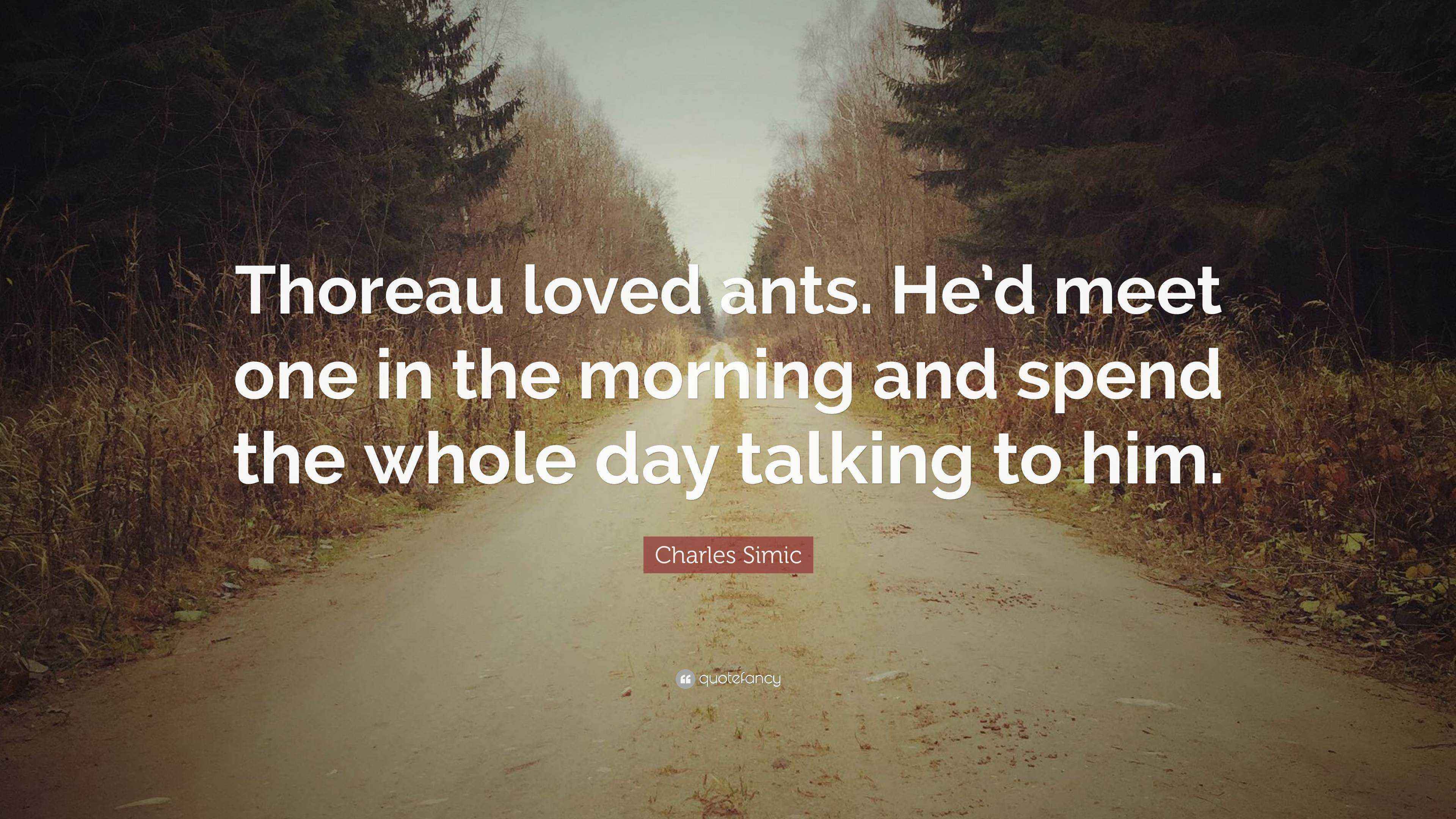 Charles Simic Quote: “Thoreau loved ants. He’d meet one in the morning ...