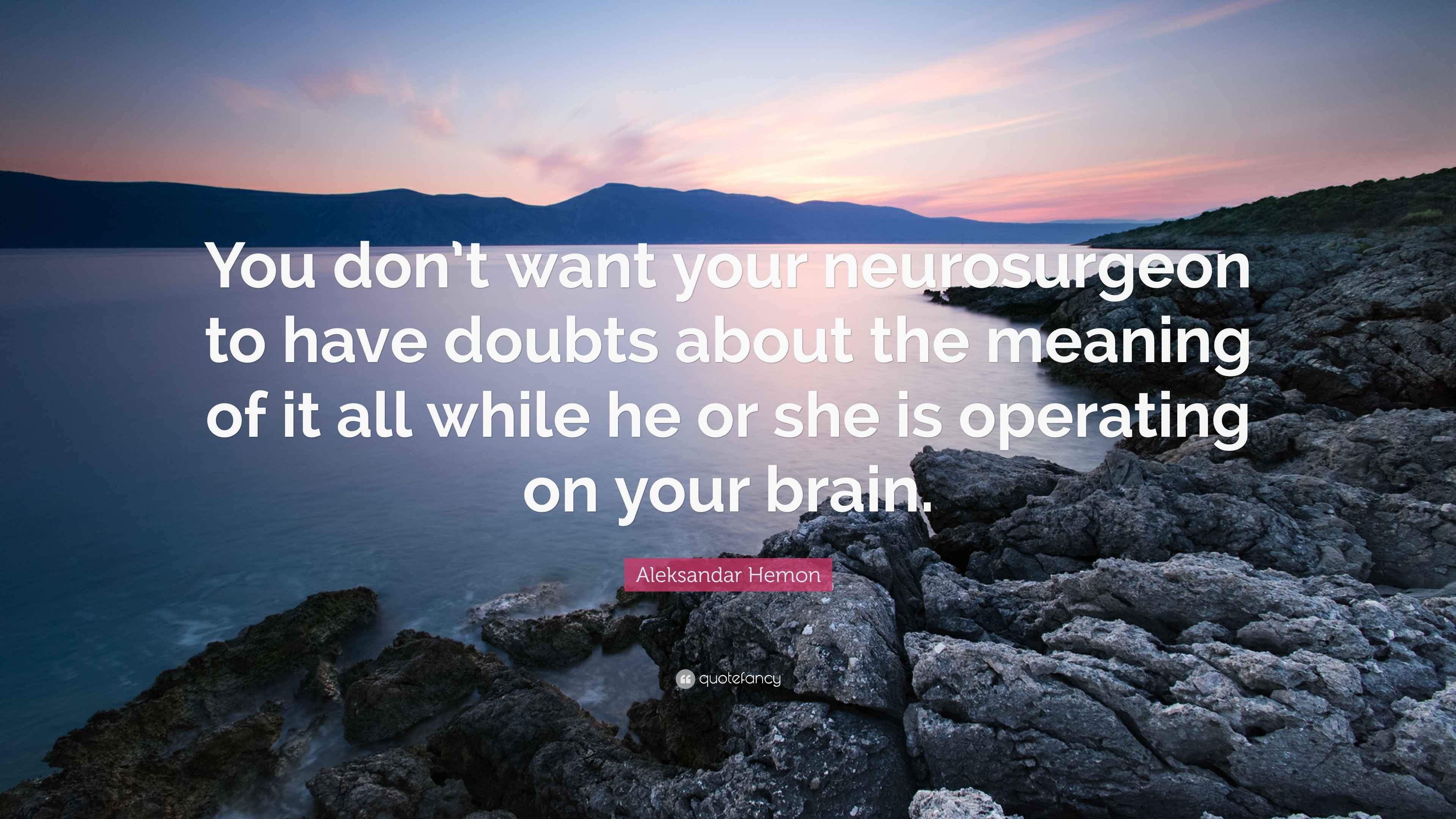 Aleksandar Hemon Quote: “You don’t want your neurosurgeon to have ...