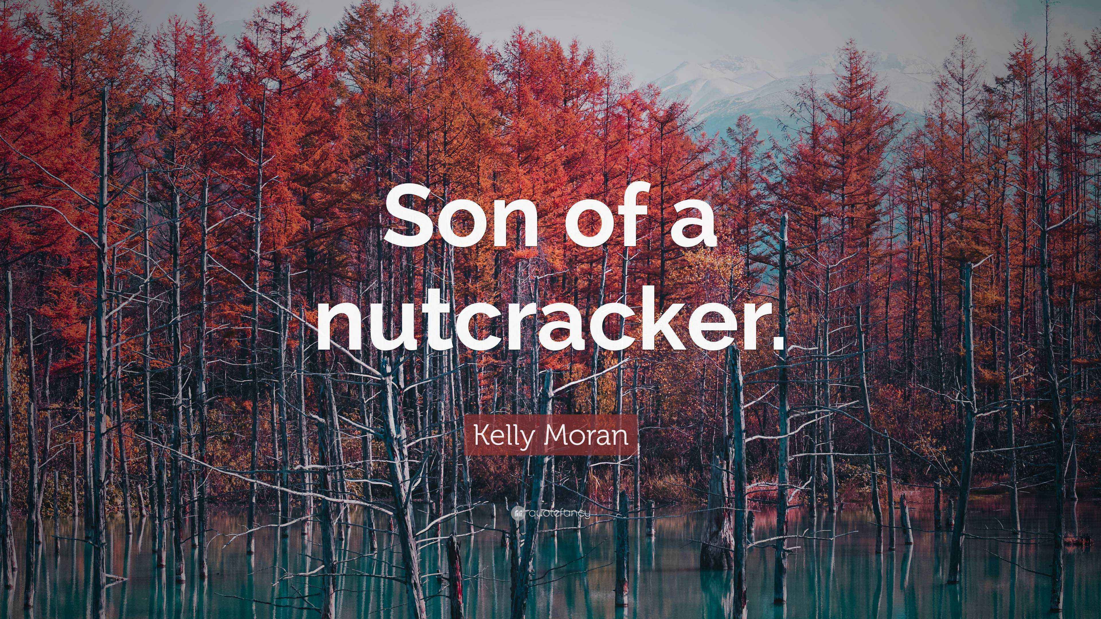 Kelly Moran Quote: “Son of a nutcracker.”