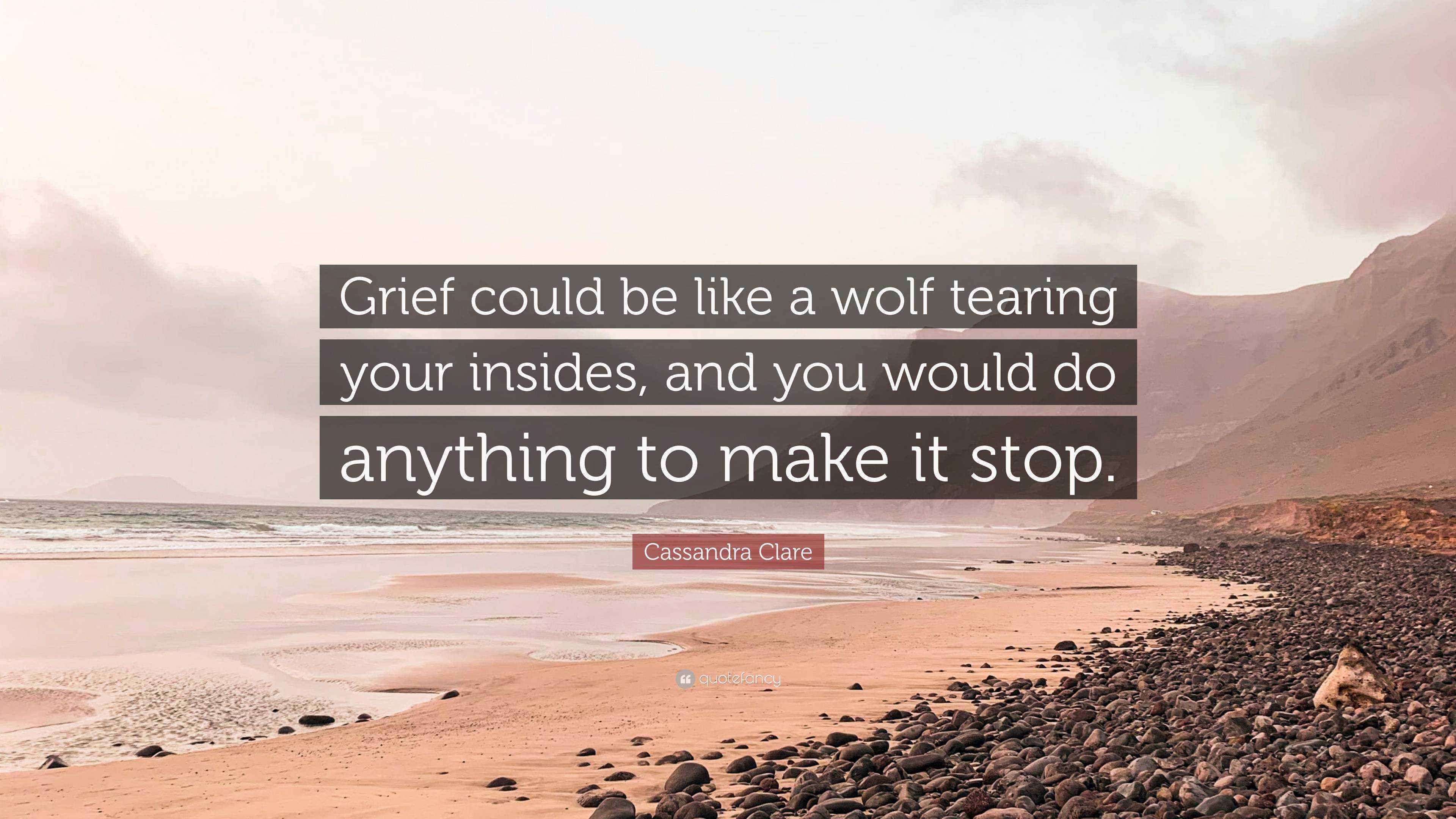 Cassandra Clare Quote: “Grief could be like a wolf tearing your insides ...
