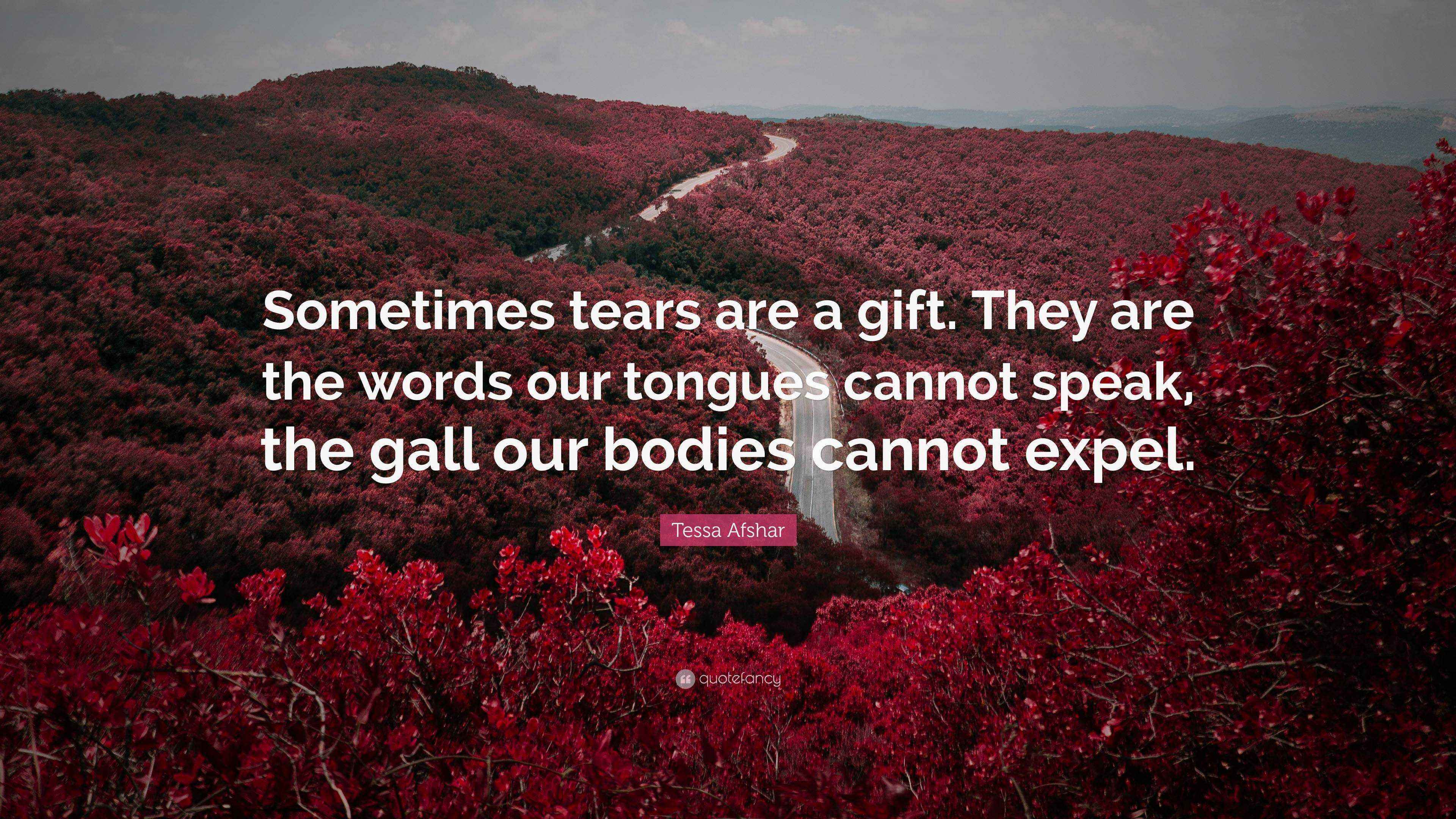 Tessa Afshar Quote: “Sometimes tears are a gift. They are the words our ...