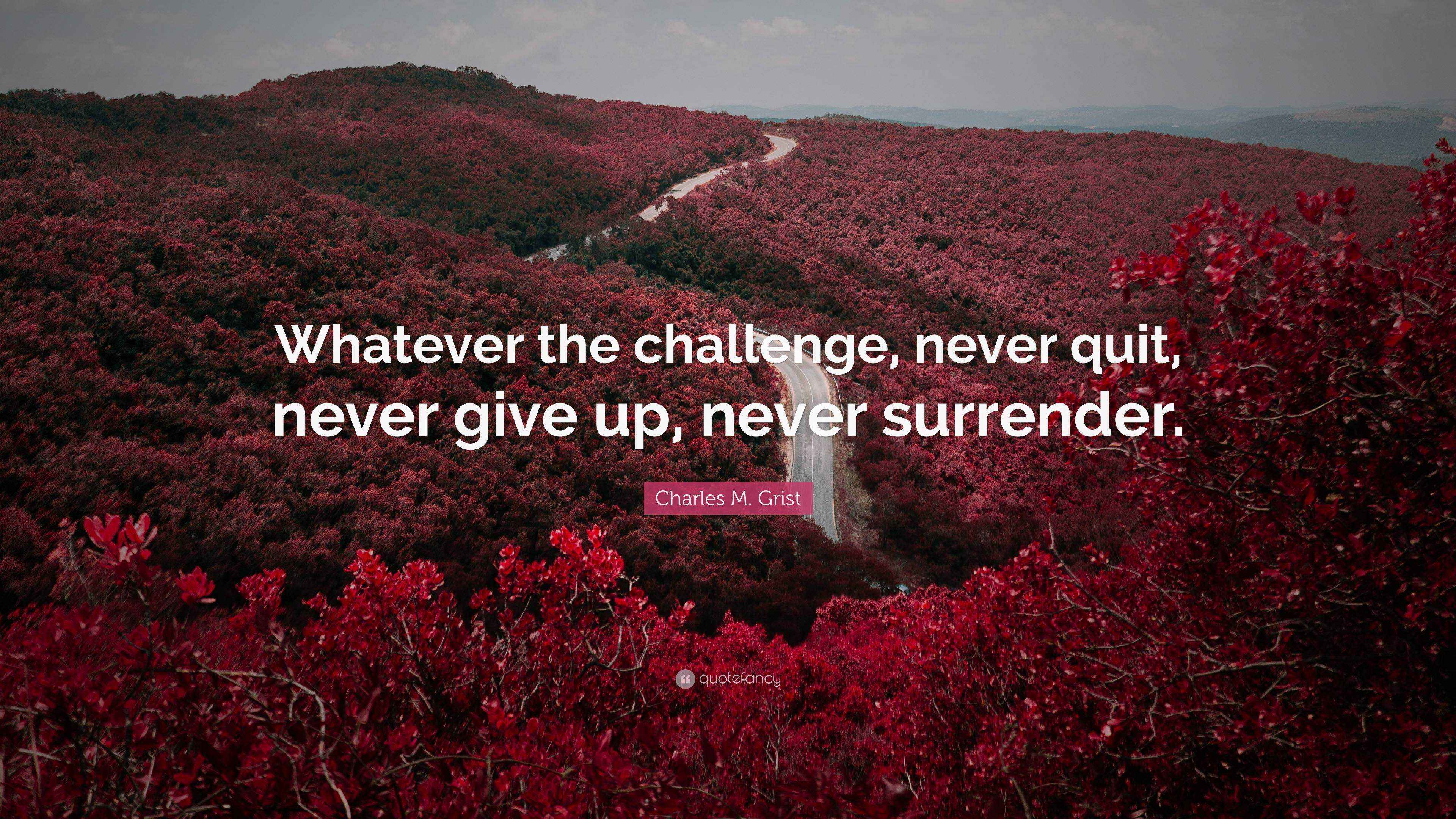 Charles M. Grist Quote: “Whatever the challenge, never quit, never give ...