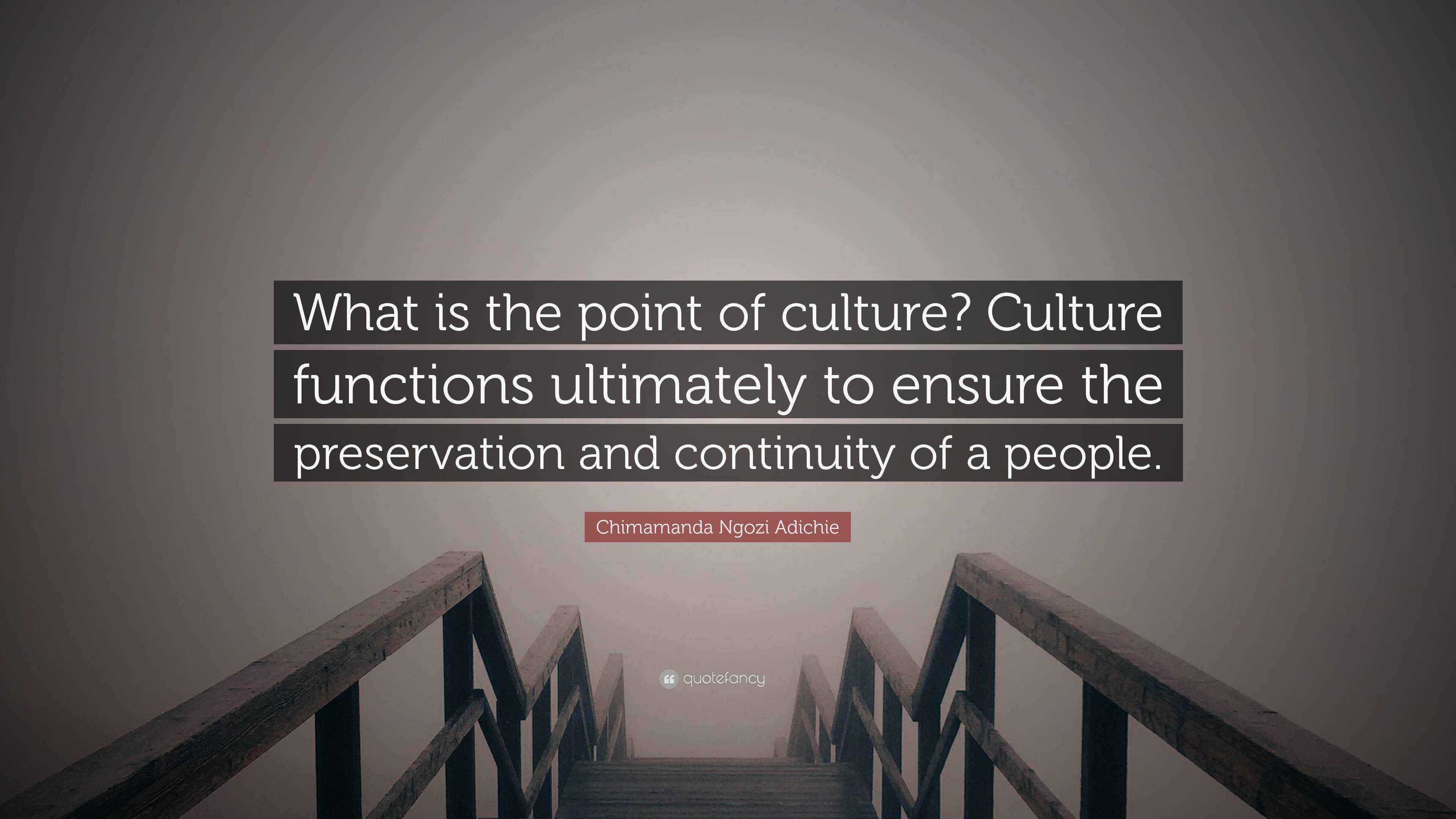 Chimamanda Ngozi Adichie Quote: “What is the point of culture? Culture ...
