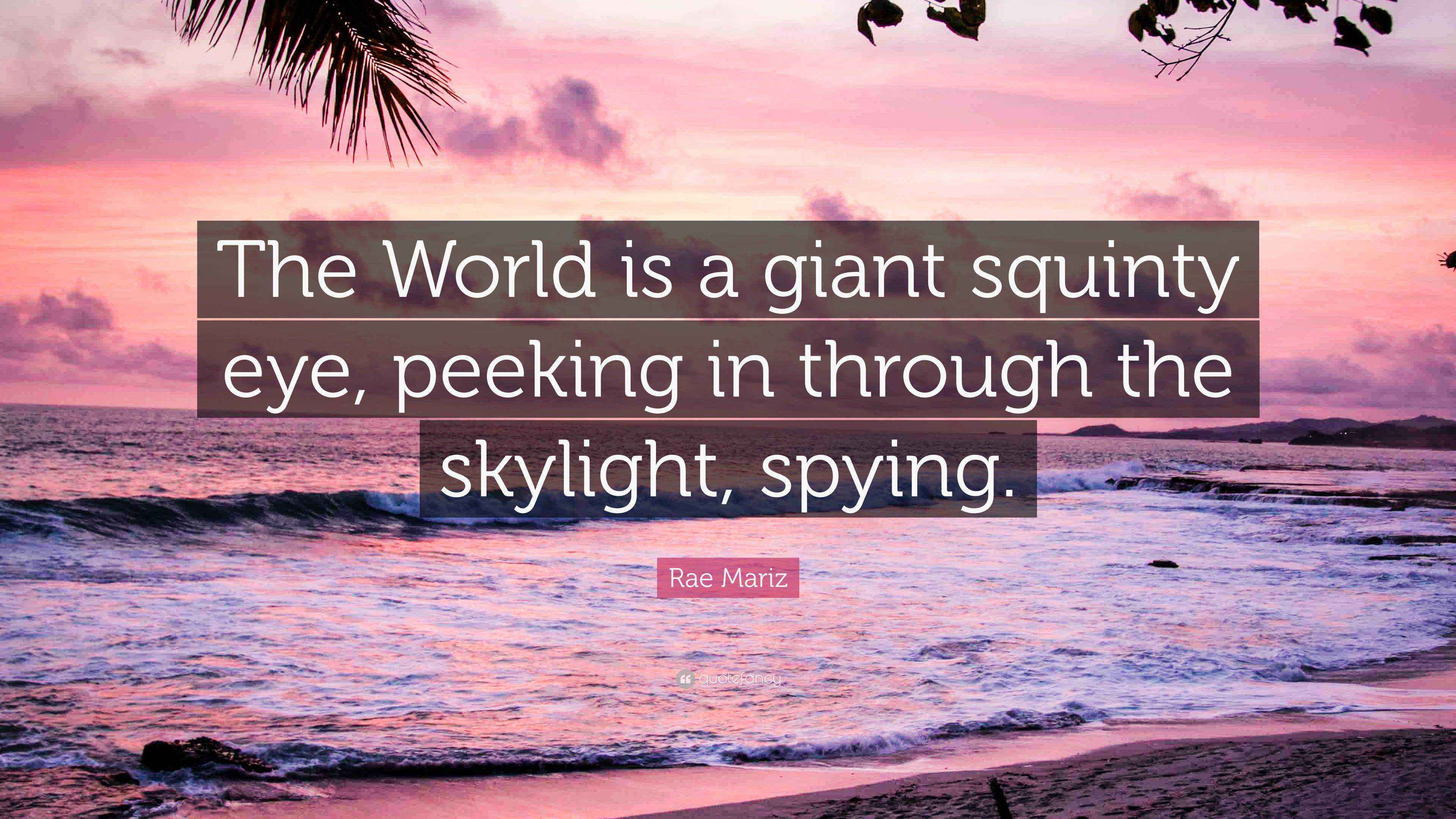 Skylight Quotes 8 Things You Need To Know About Getting A Skylight