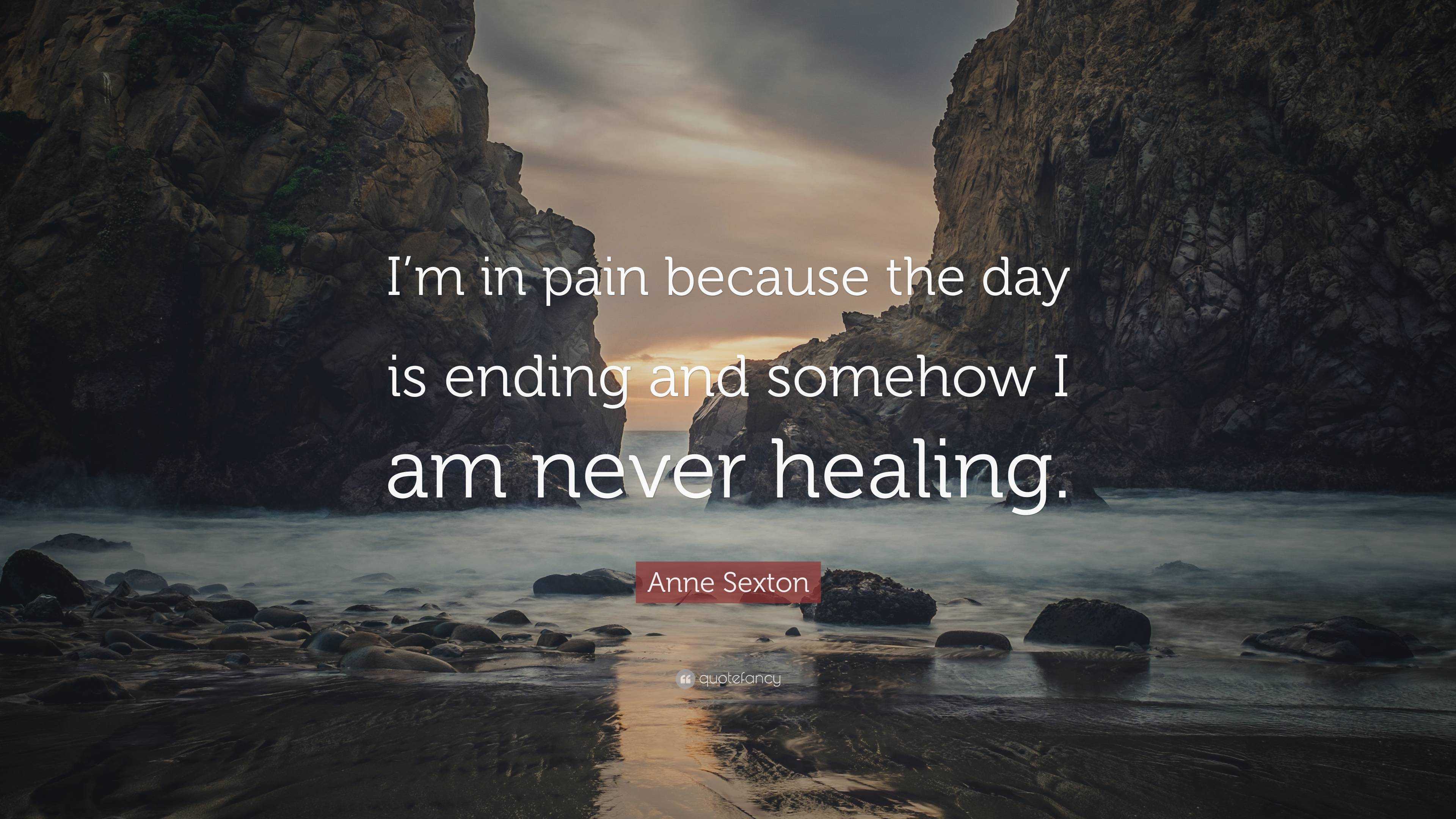 Anne Sexton Quote: “I’m in pain because the day is ending and somehow I ...