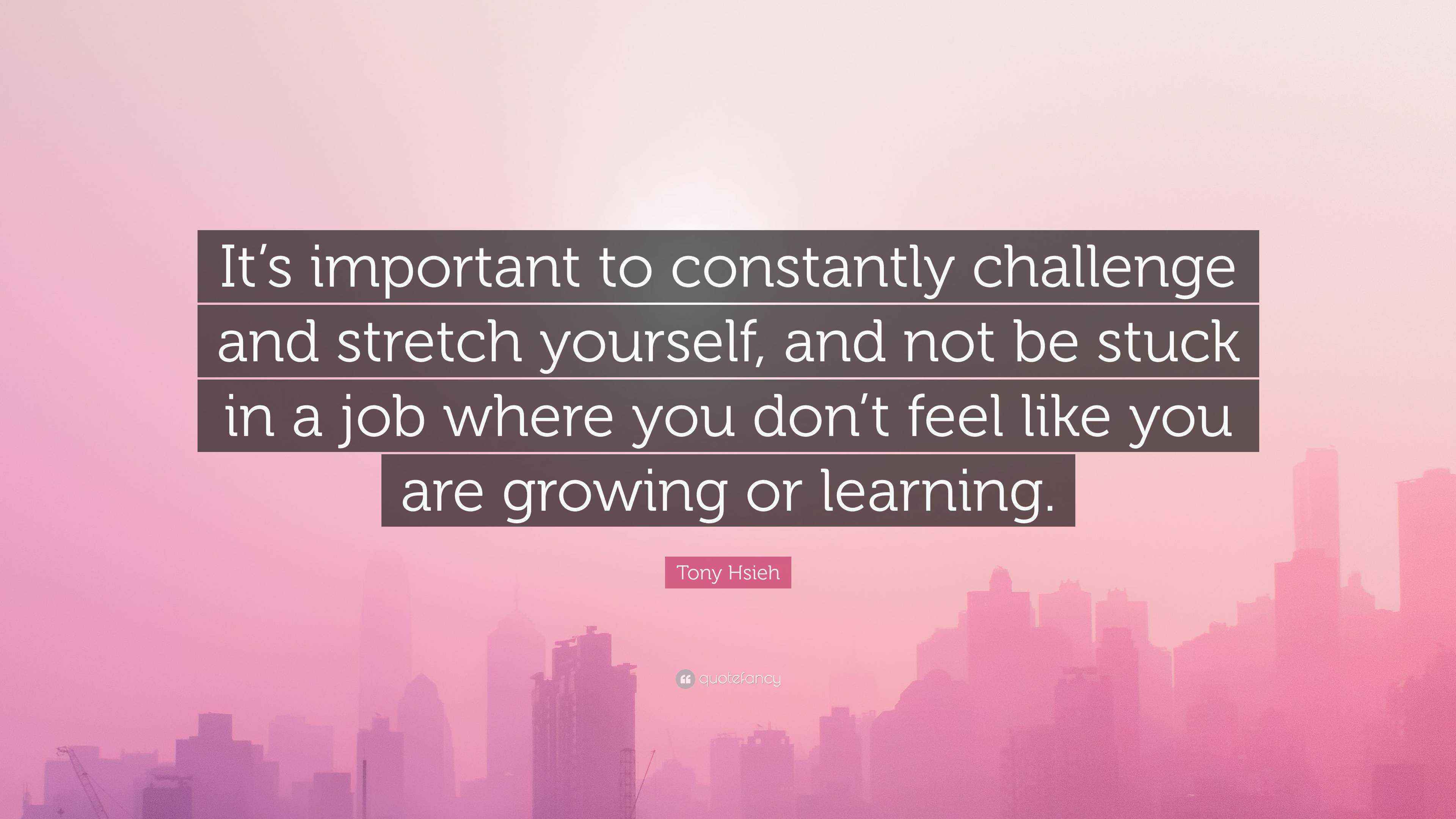 Tony Hsieh Quote: “It’s important to constantly challenge and stretch ...