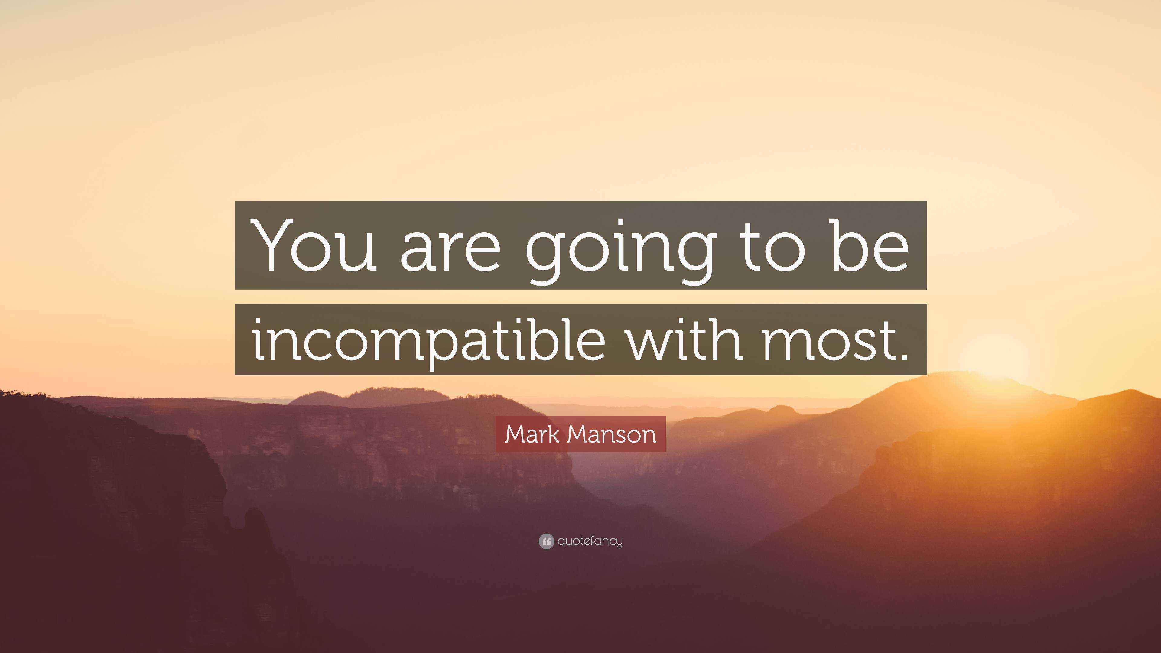 Mark Manson Quote: “You are going to be incompatible with most.”