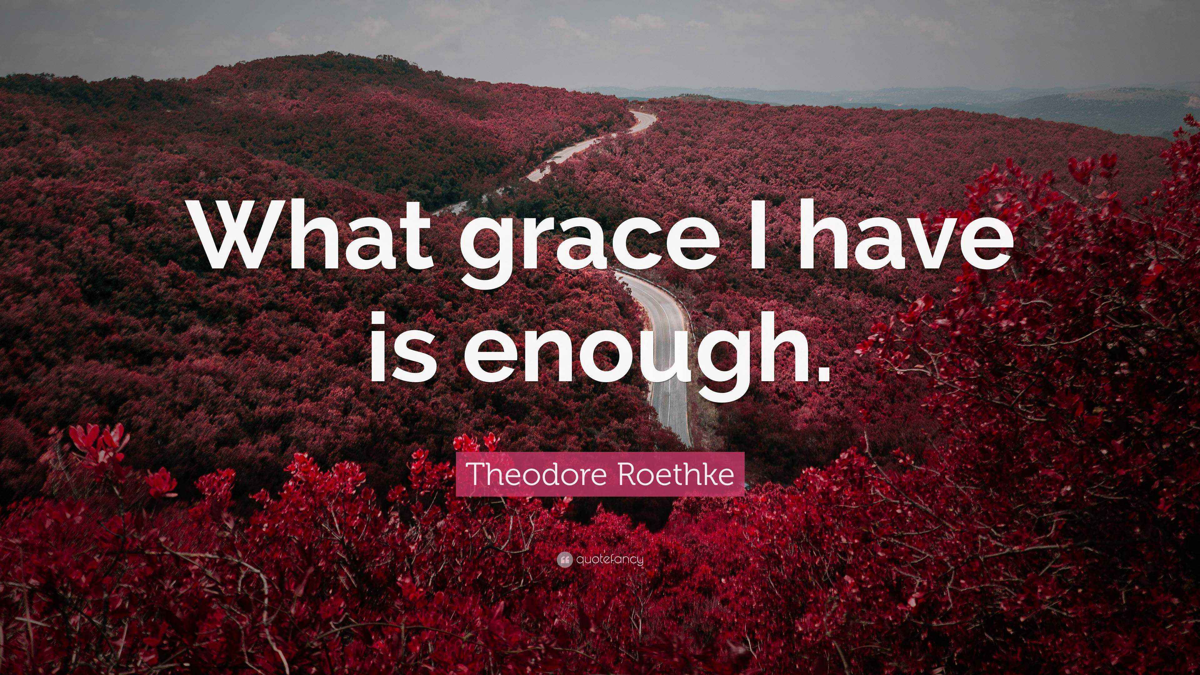 Theodore Roethke Quote: “What grace I have is enough.”