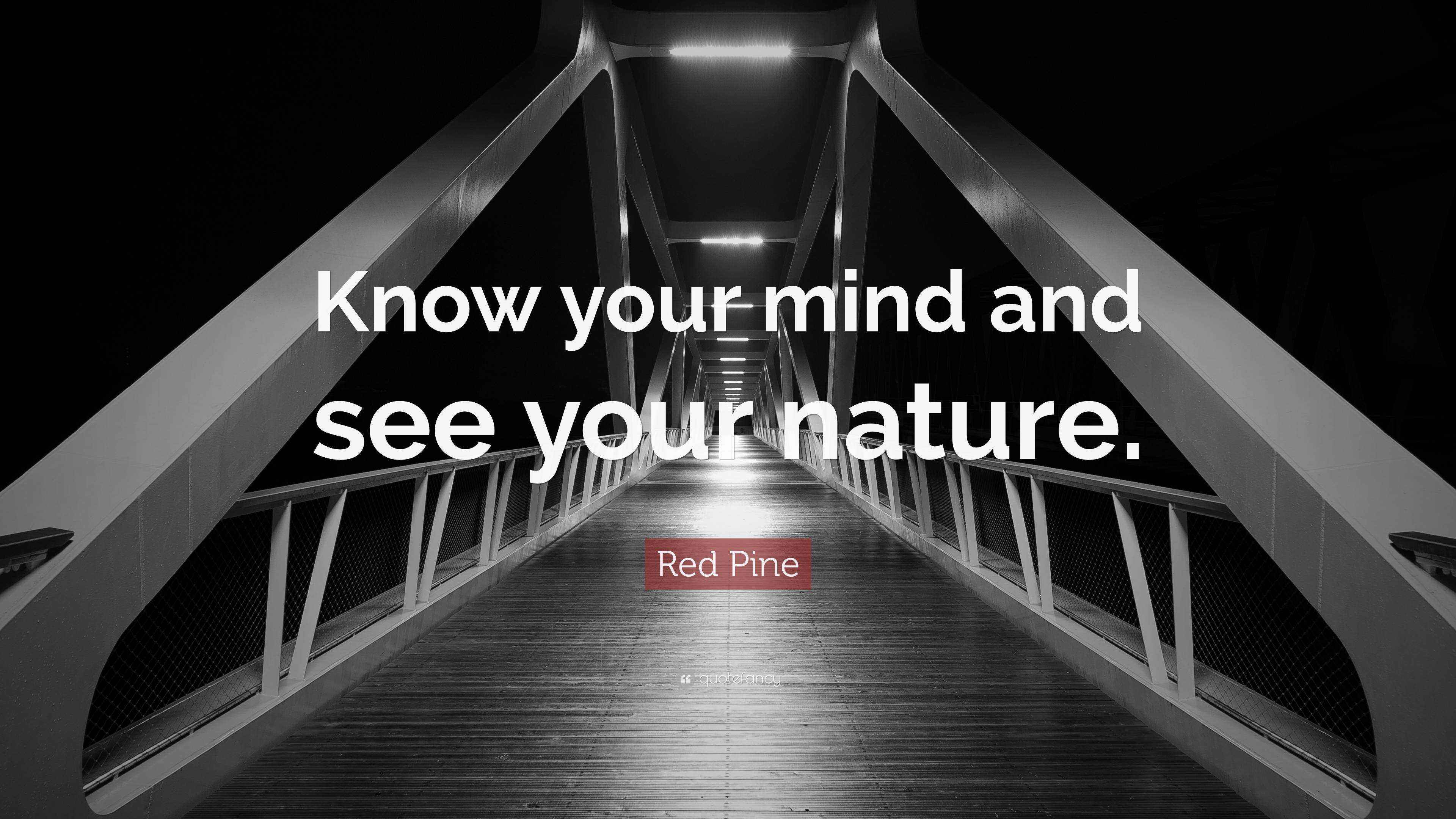 Red Pine Quote: “Know your mind and see your nature.”