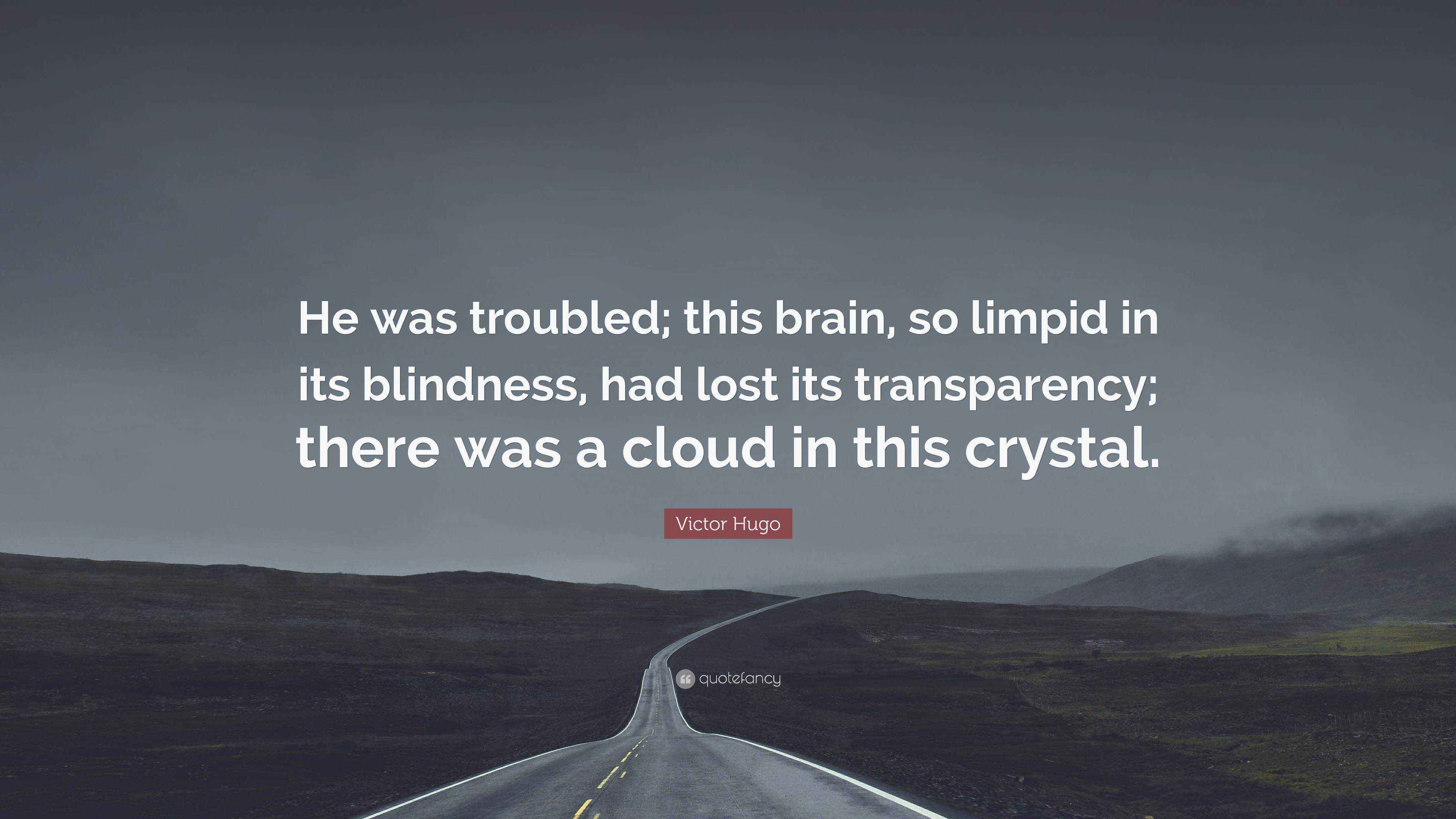 Victor Hugo Quote: “He was troubled; this brain, so limpid in its ...