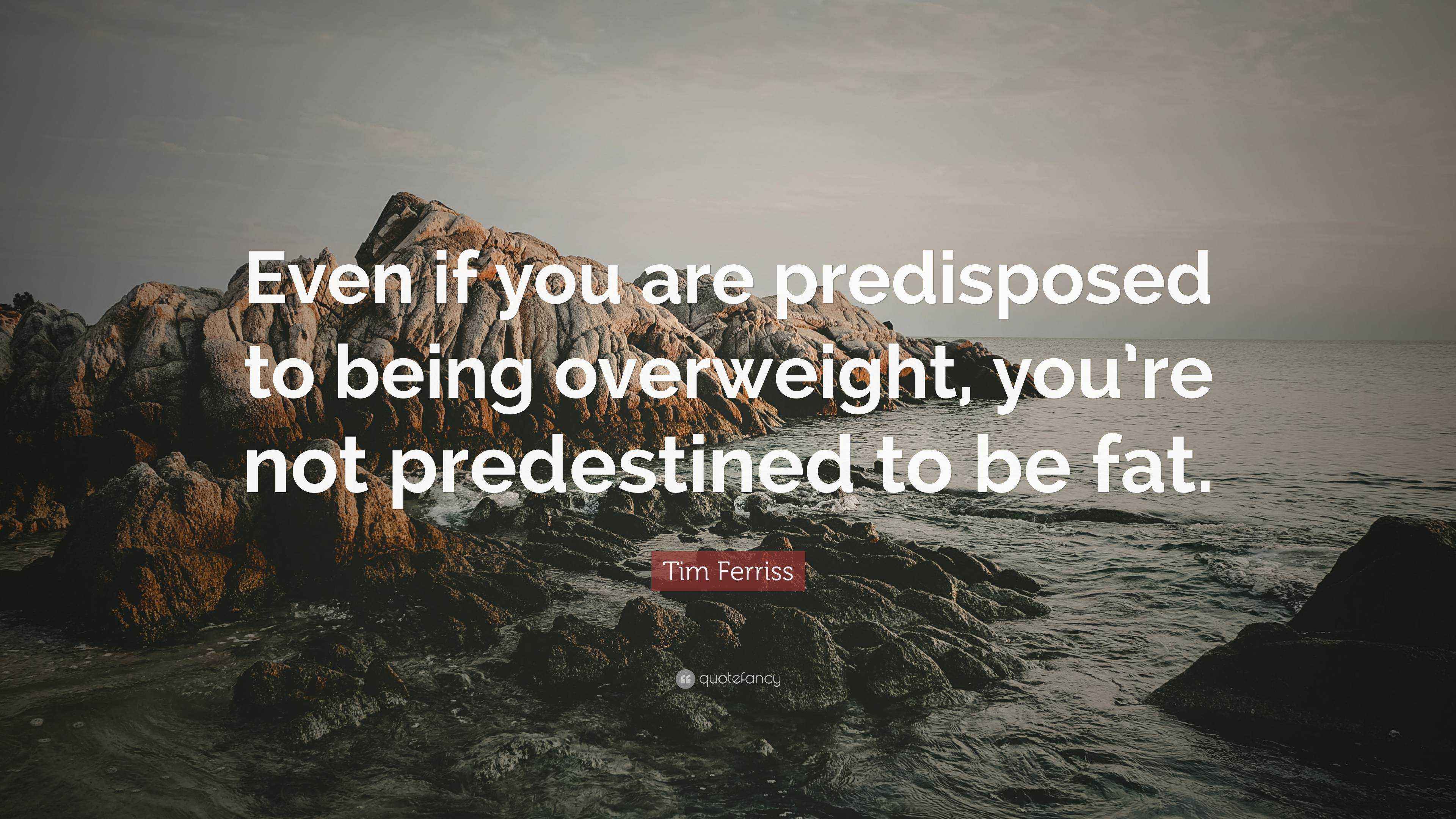 Tim Ferriss Quote: “Even if you are predisposed to being overweight ...