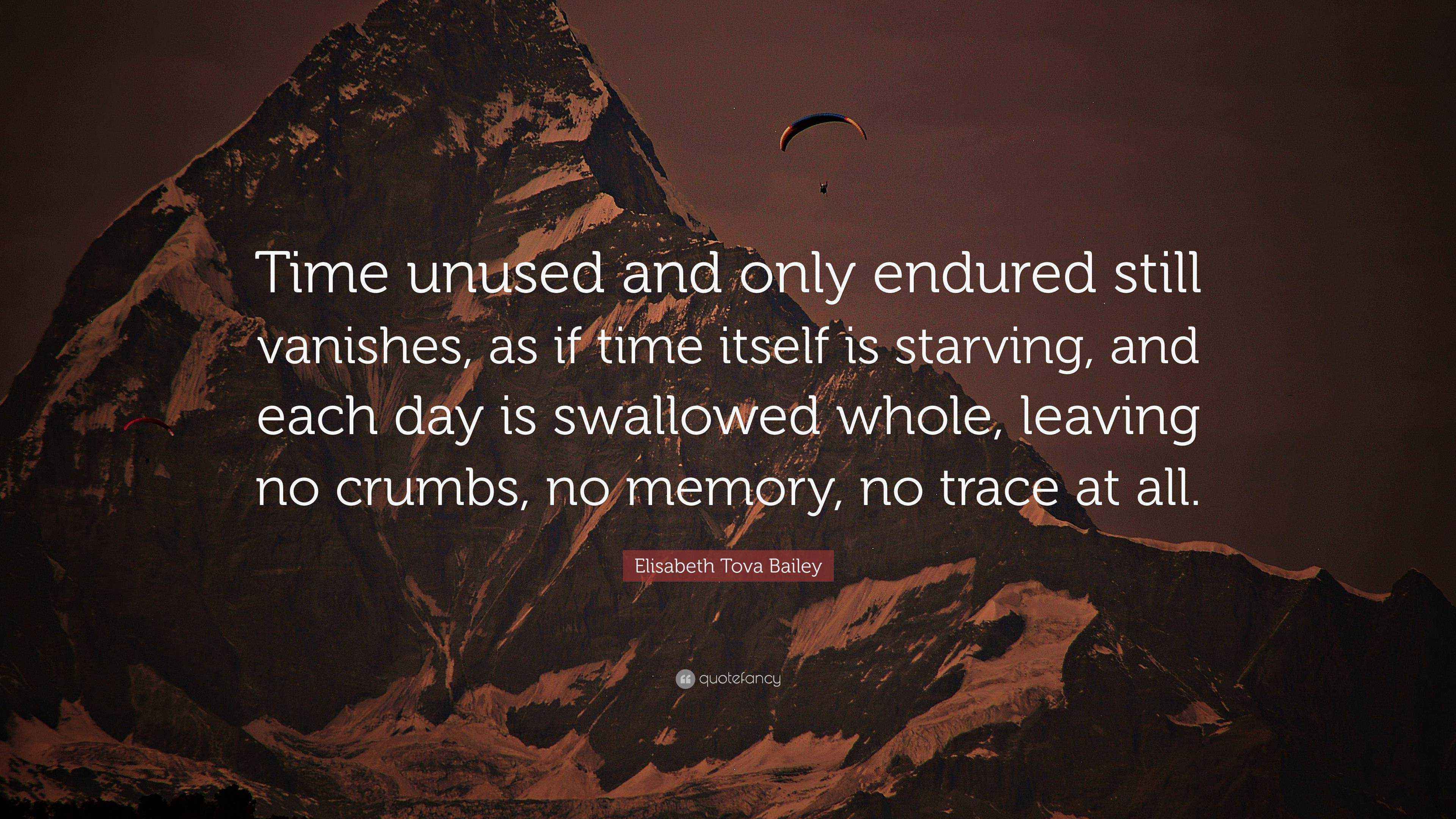 Elisabeth Tova Bailey Quote: “Time unused and only endured still ...