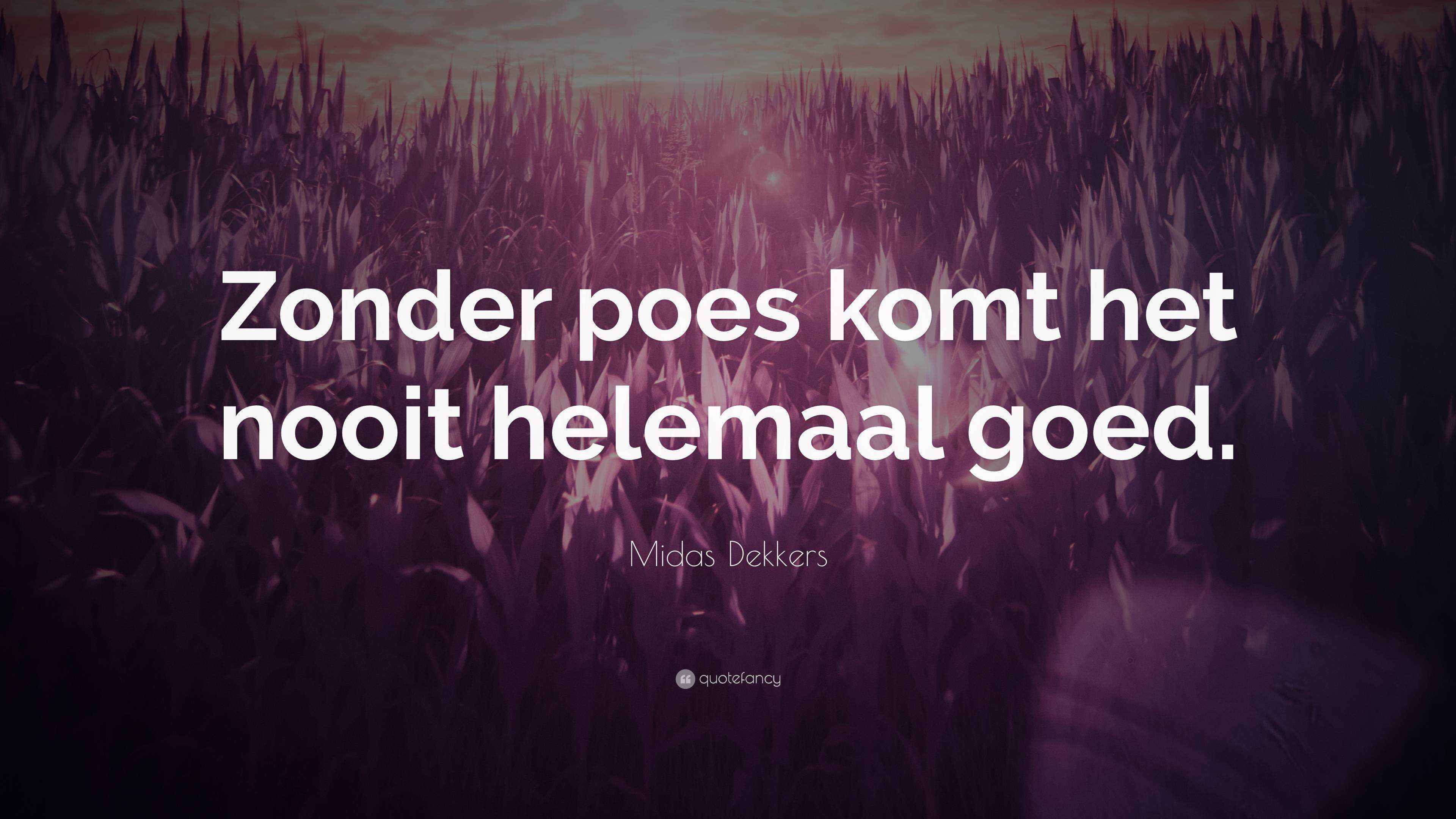 Midas Dekkers Quote: “Zonder poes komt het nooit helemaal goed.”