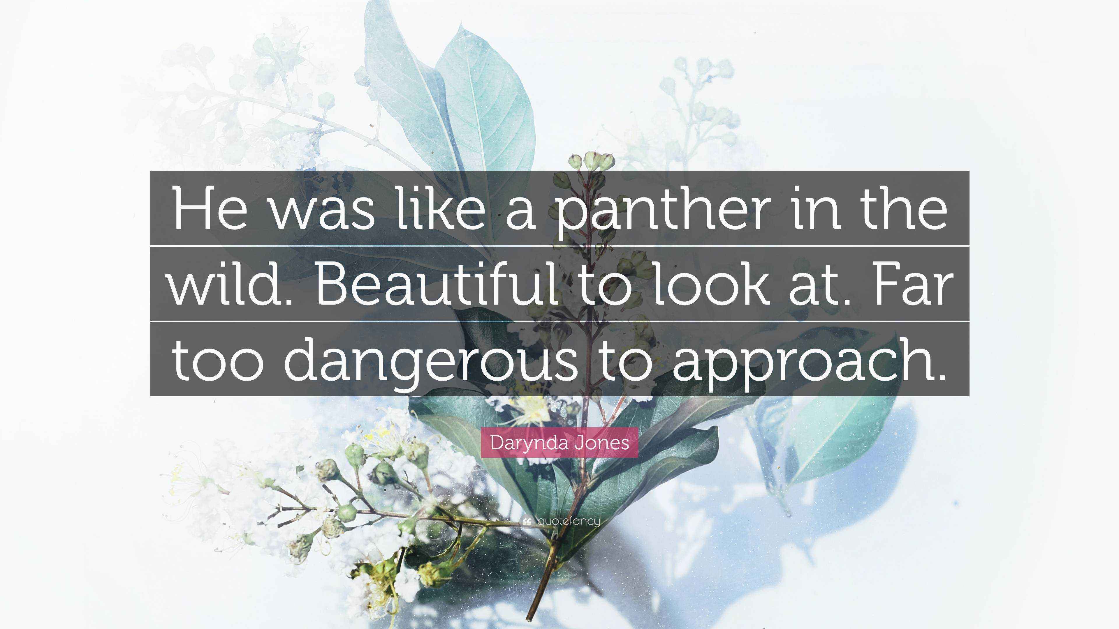Darynda Jones Quote: “He was like a panther in the wild. Beautiful to ...